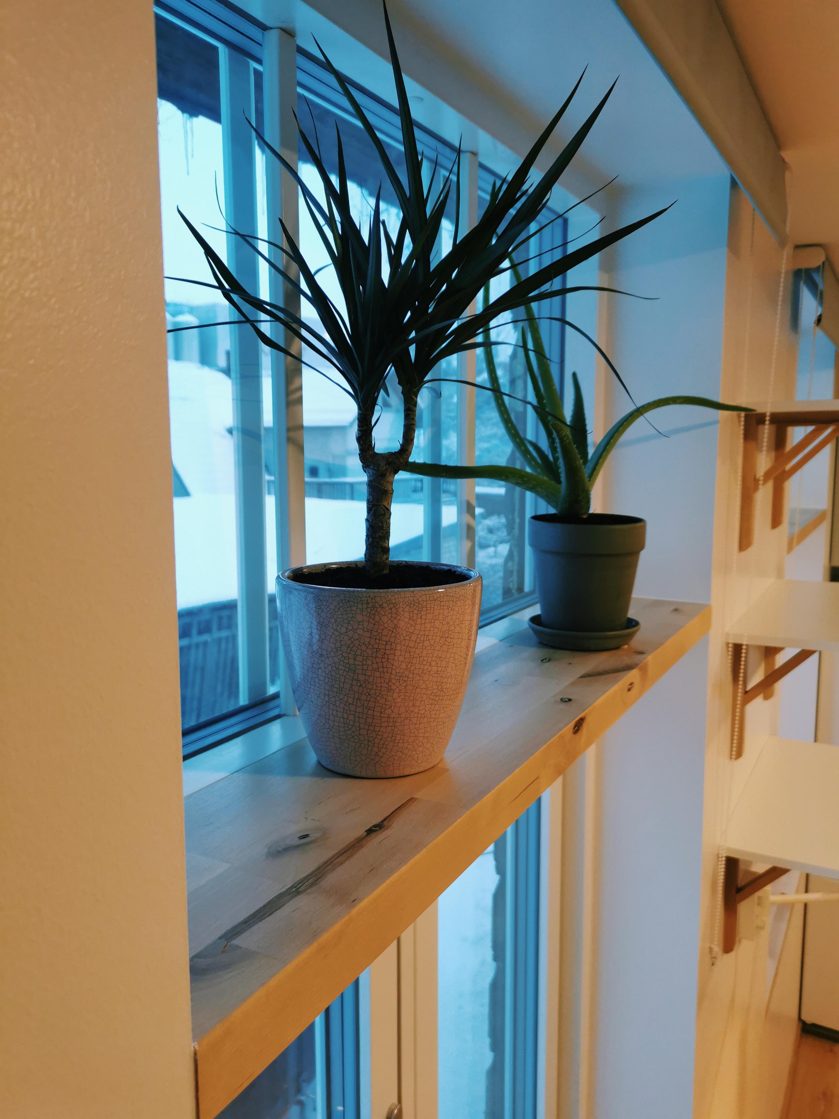 Wooden (Floating) Windowsills : 11 Steps (with Pictures) - Instructables