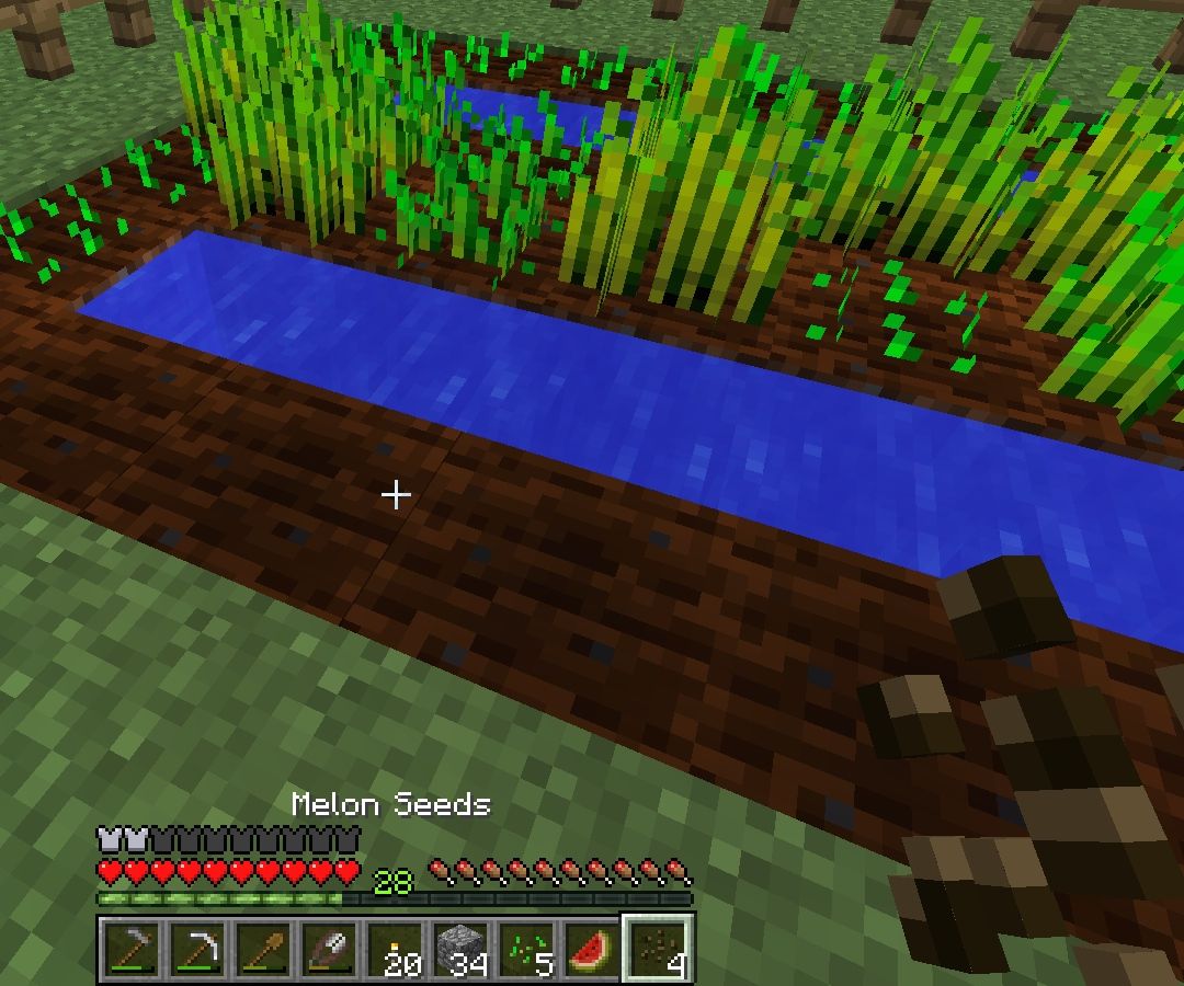 Minecraft Carrot Seeds
