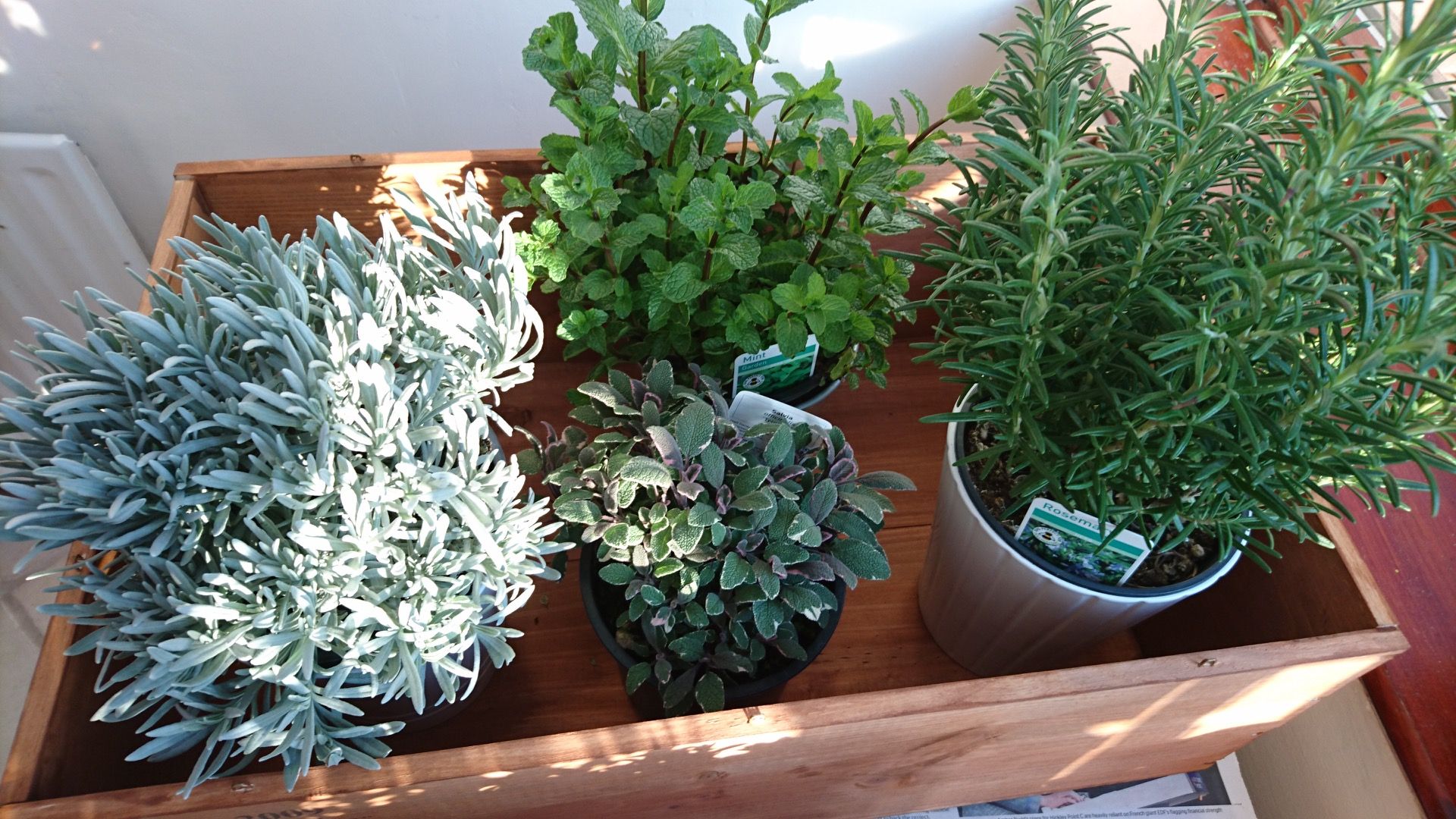 Staggered Pallet Planter : 8 Steps (with Pictures) - Instructables