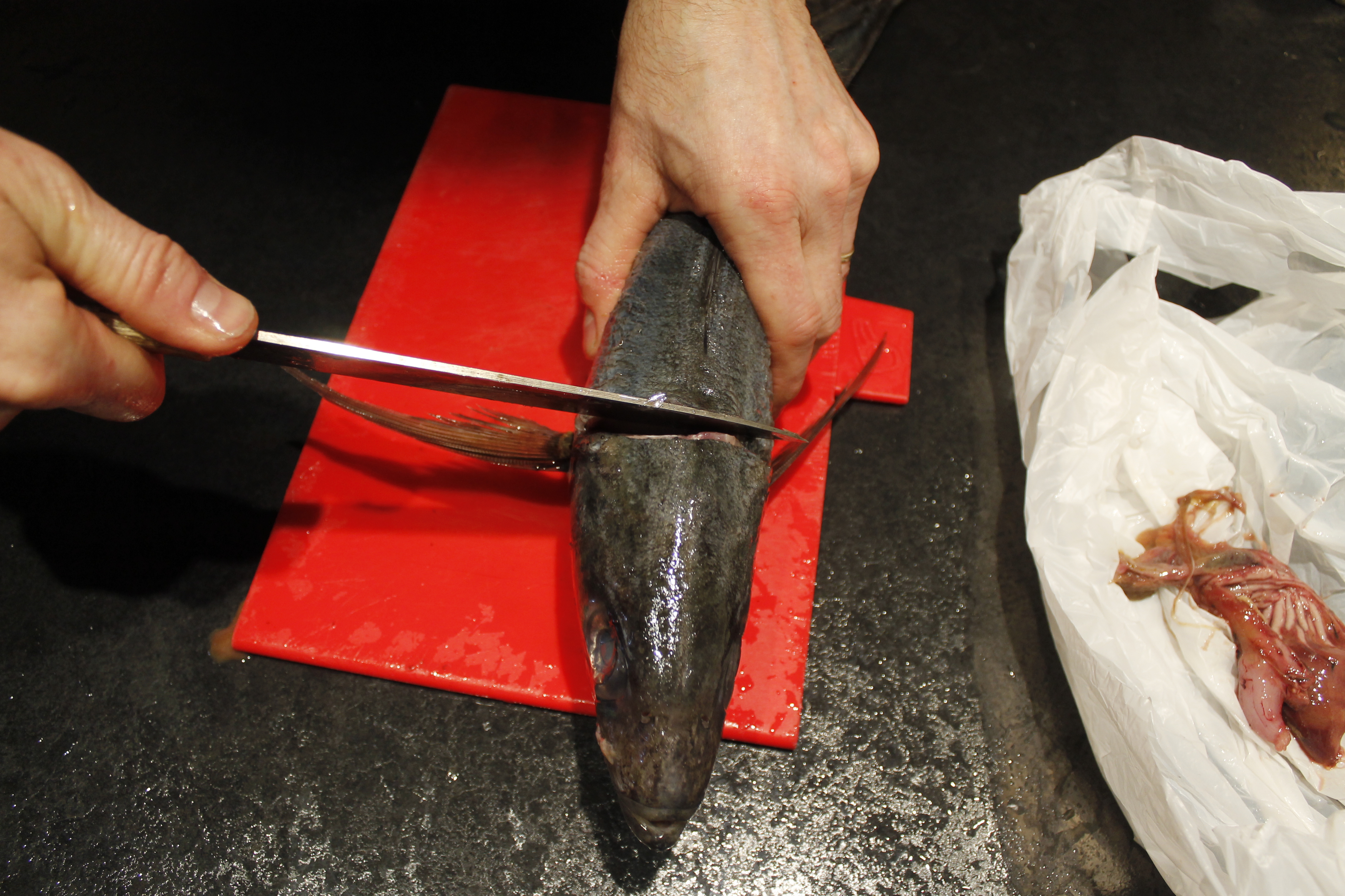 Preparing a Whole Fresh Fish : 7 Steps (with Pictures) - Instructables