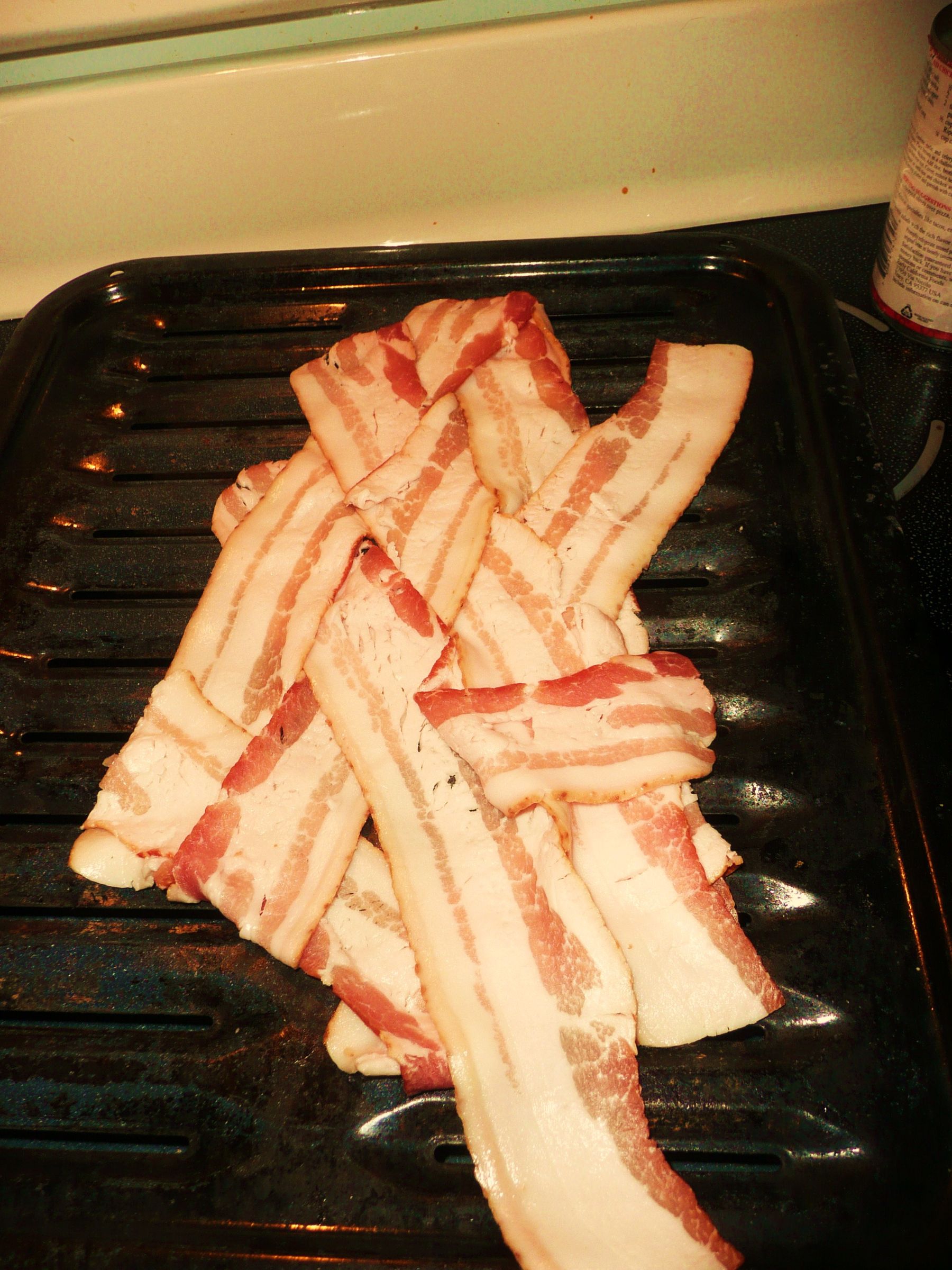 Wearable Bacon Tie : 5 Steps - Instructables