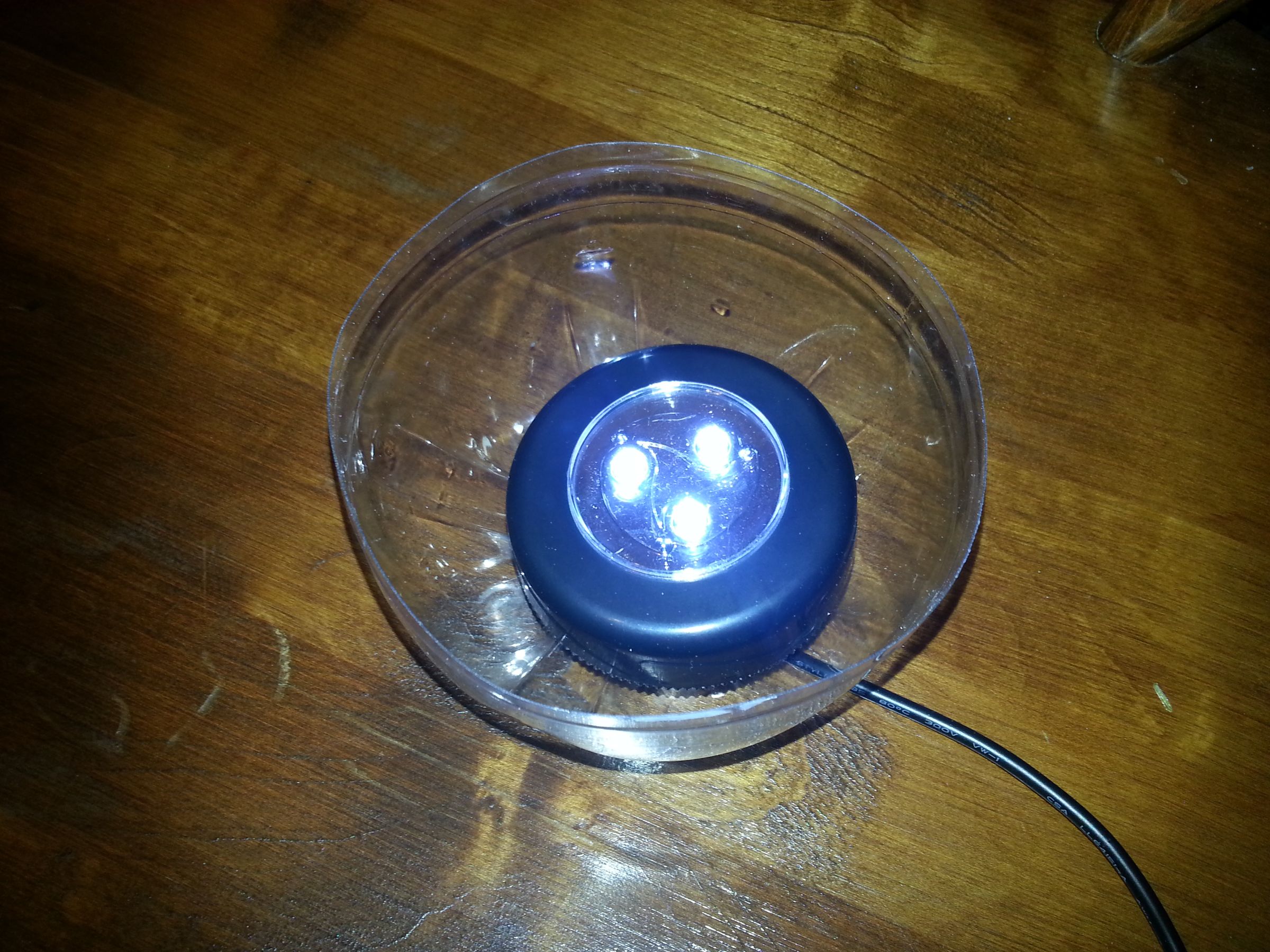 The Inescapable Stink Bug Trap : 5 Steps - Instructables