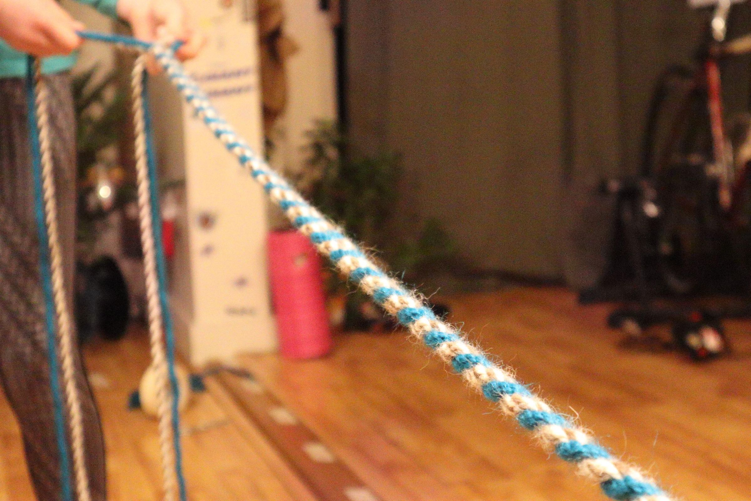 Four Strand Flat Braid Mohair Reins : 9 Steps (with Pictures ...