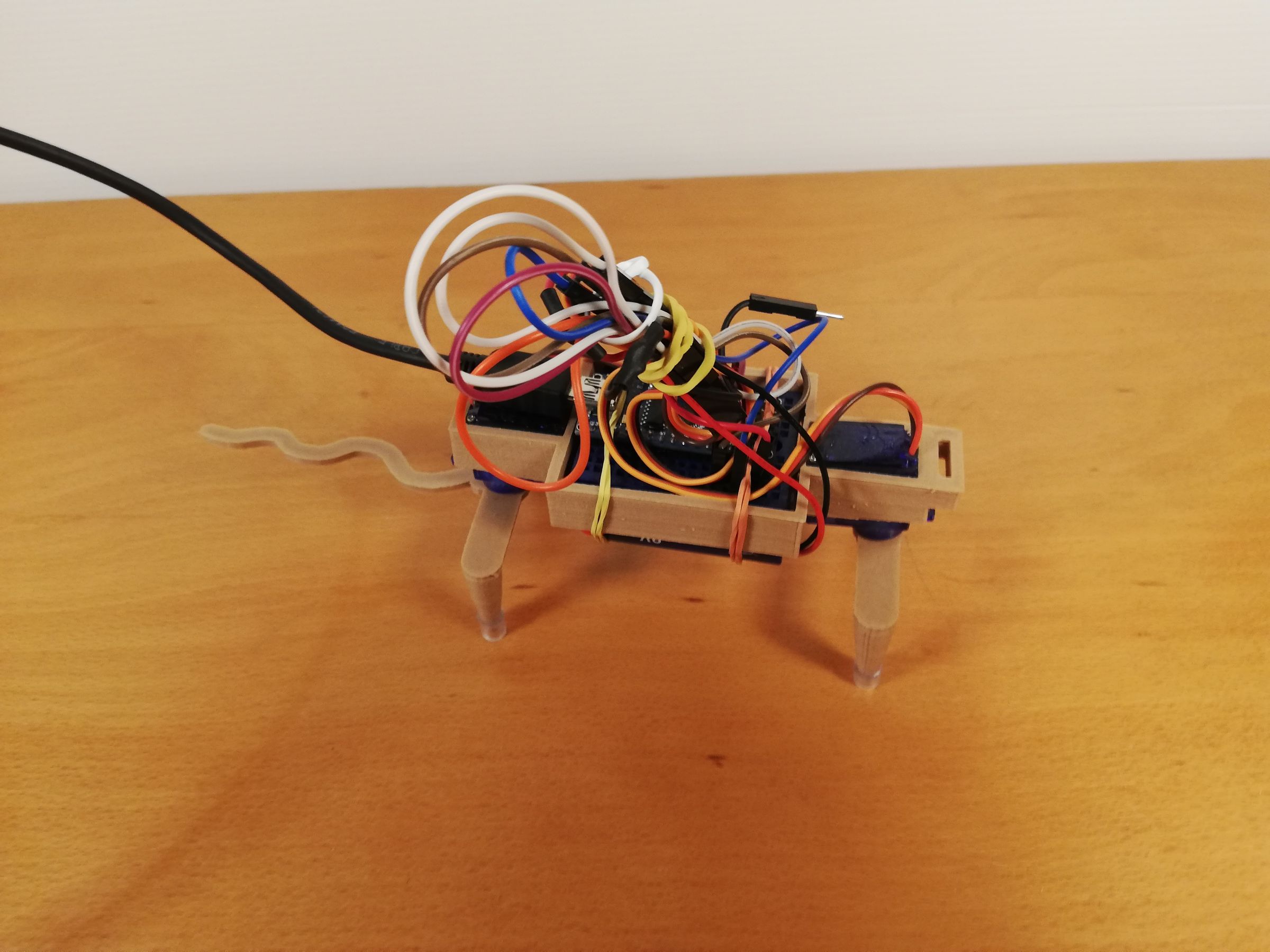 Robotic Rat : 8 Steps (with Pictures) - Instructables