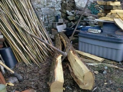 Splitting Black Locust Logs With Wedges : 7 Steps (with Pictures ...