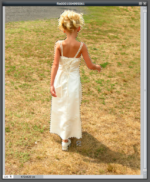 Cutting Things Out of an Image Using Pixlr Editor's Lasso Tool : 3 ...