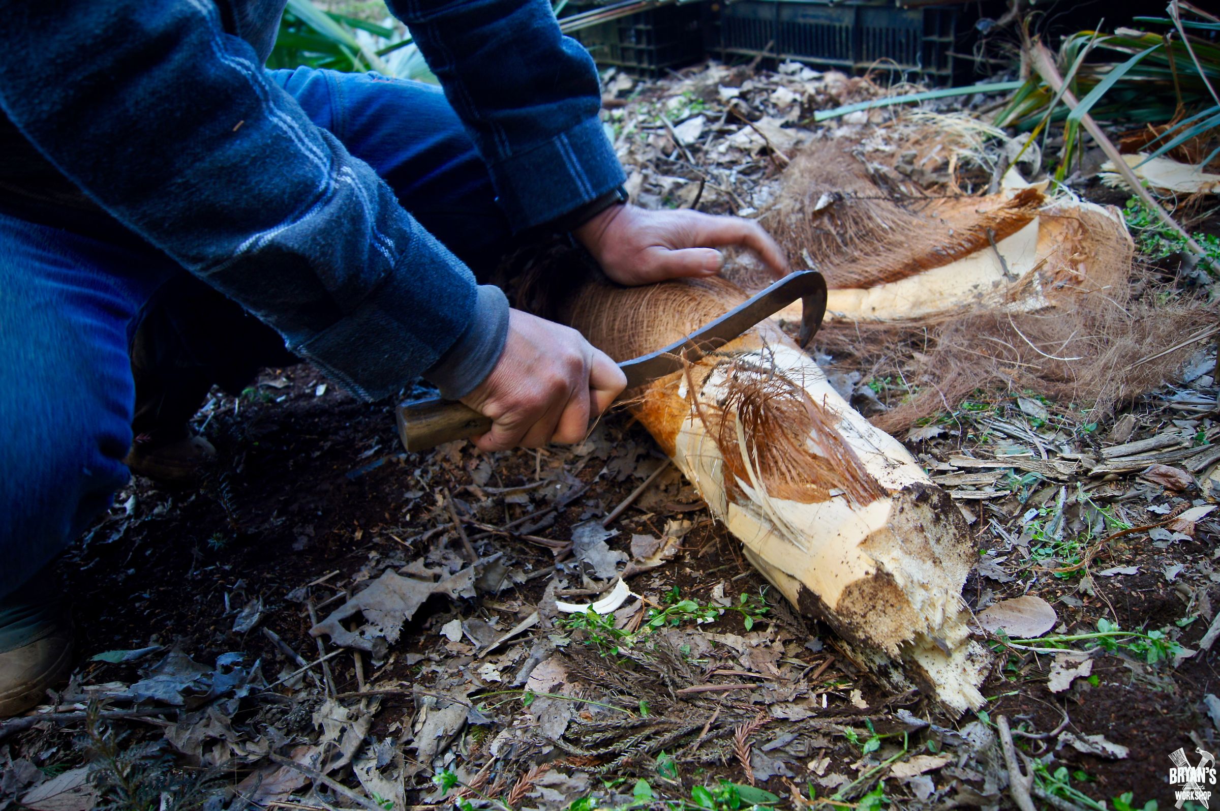 How to Make Rope Using Windmill Palm Tree Fiber! : 6 Steps (with ...