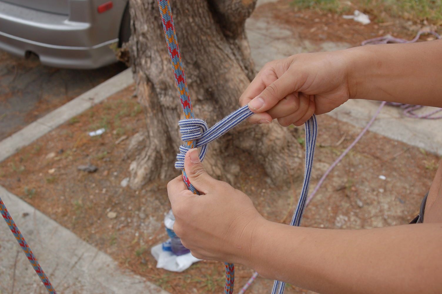 How to Climb a Tree (with Prussiks!) : 6 Steps (with Pictures ...