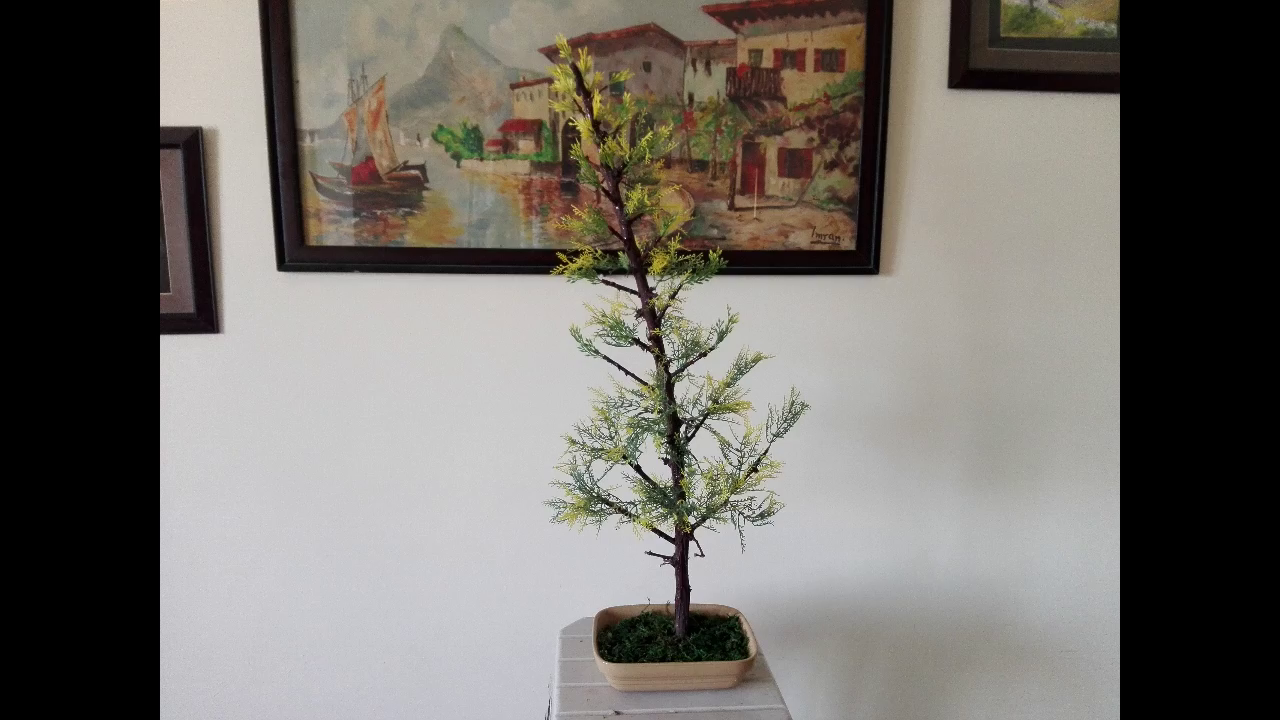 DIY Pine Tree ,Easy and Beautiful Tree : 5 Steps - Instructables