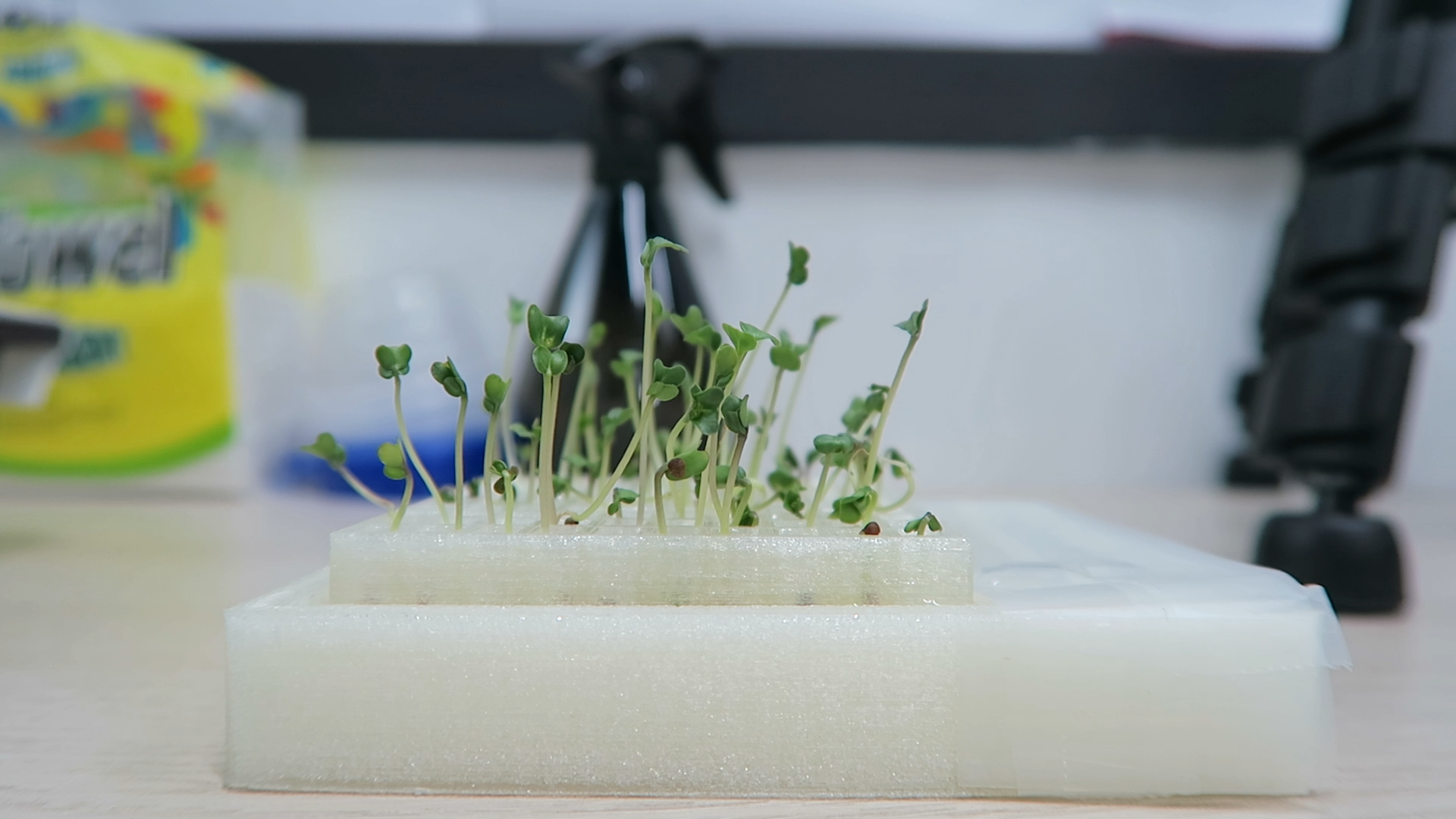 Germinate Seeds With a 3D Printed Container : 6 Steps (with Pictures ...