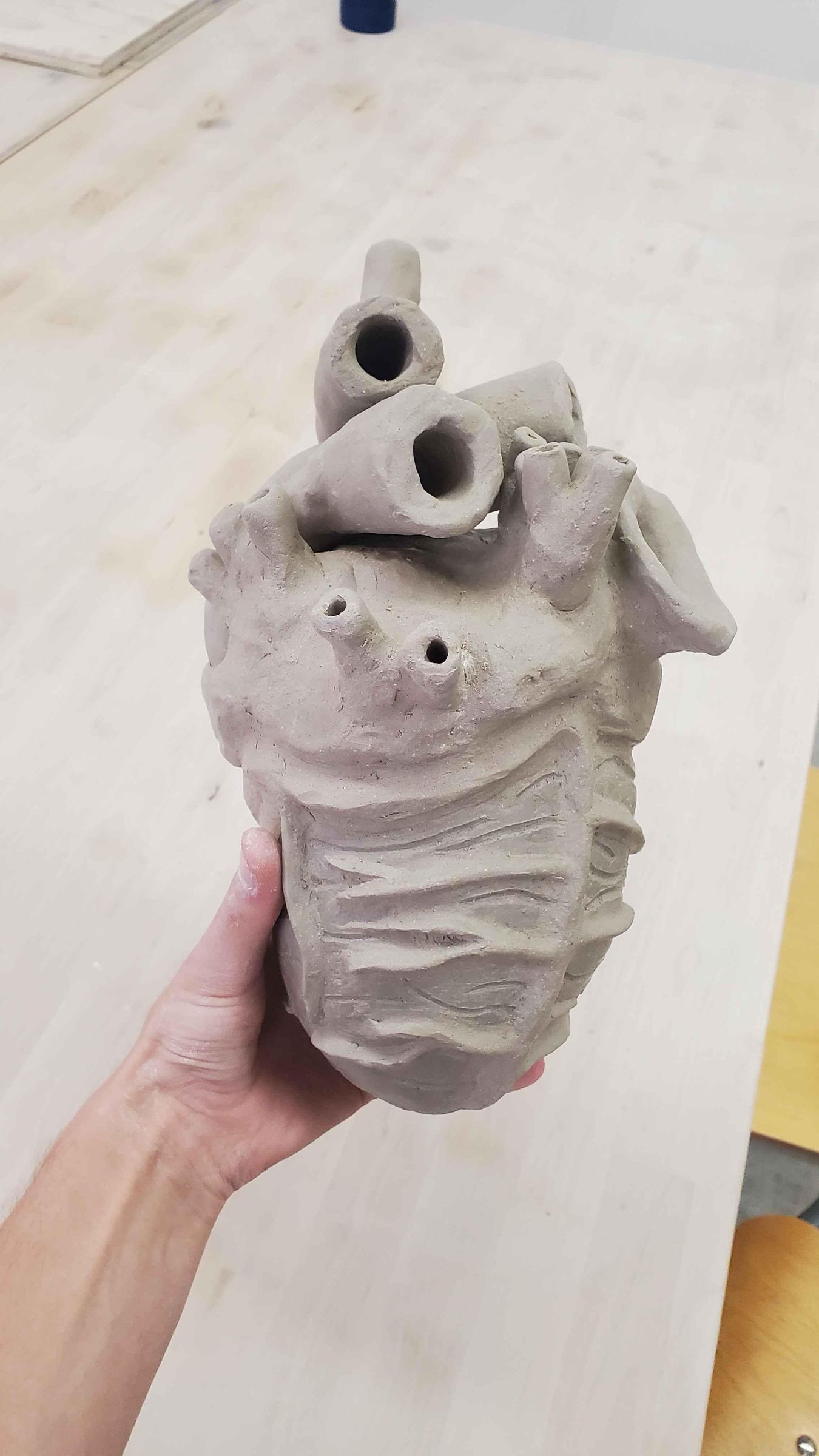 Anatomically Correct Heart - Clay : 11 Steps (with Pictures ...