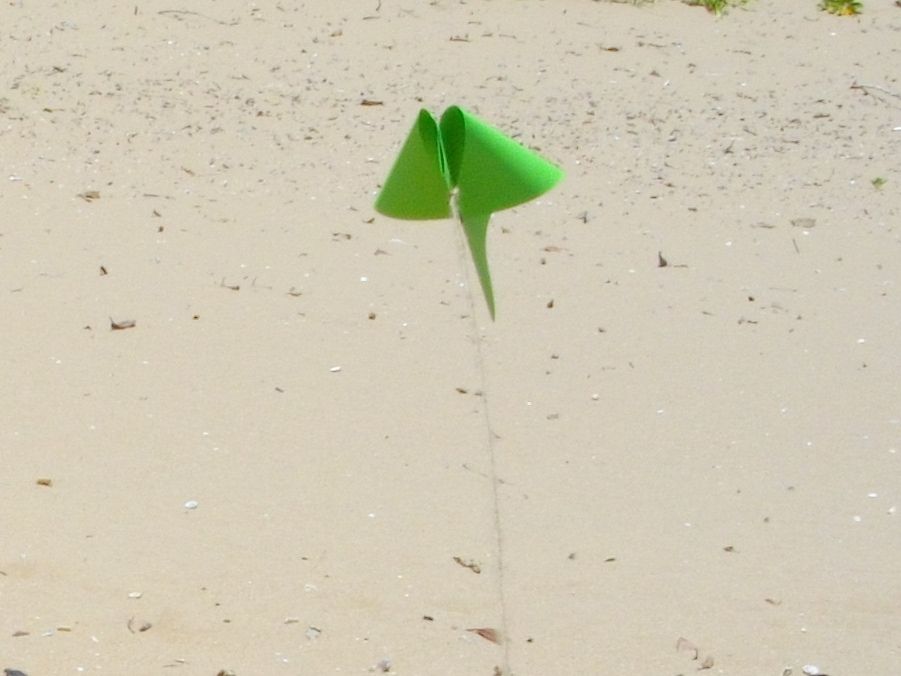 Very Simple Kite : 6 Steps (with Pictures) - Instructables