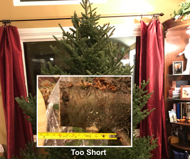 Christmas Tree Emergency : 5 Steps (with Pictures) - Instructables