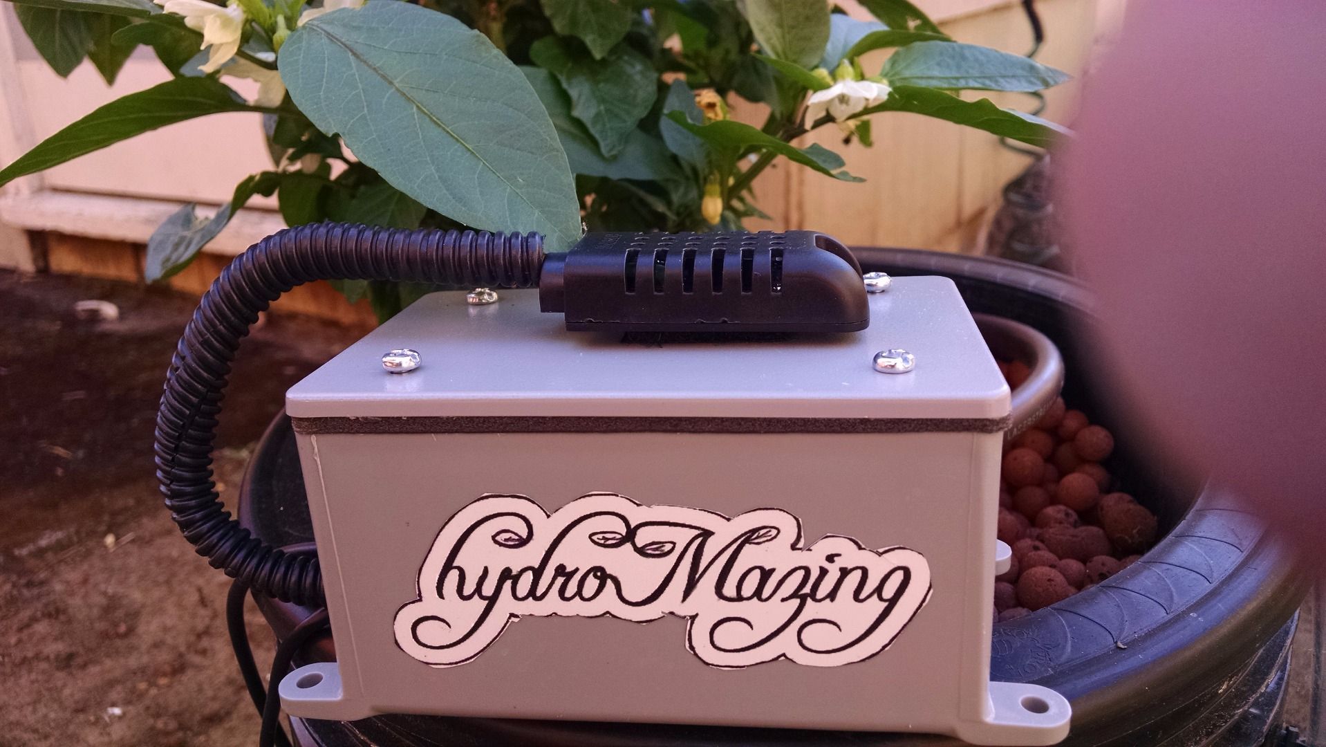 Simple Start to Indoor Gardening With HydroMazing : 9 Steps - Instructables