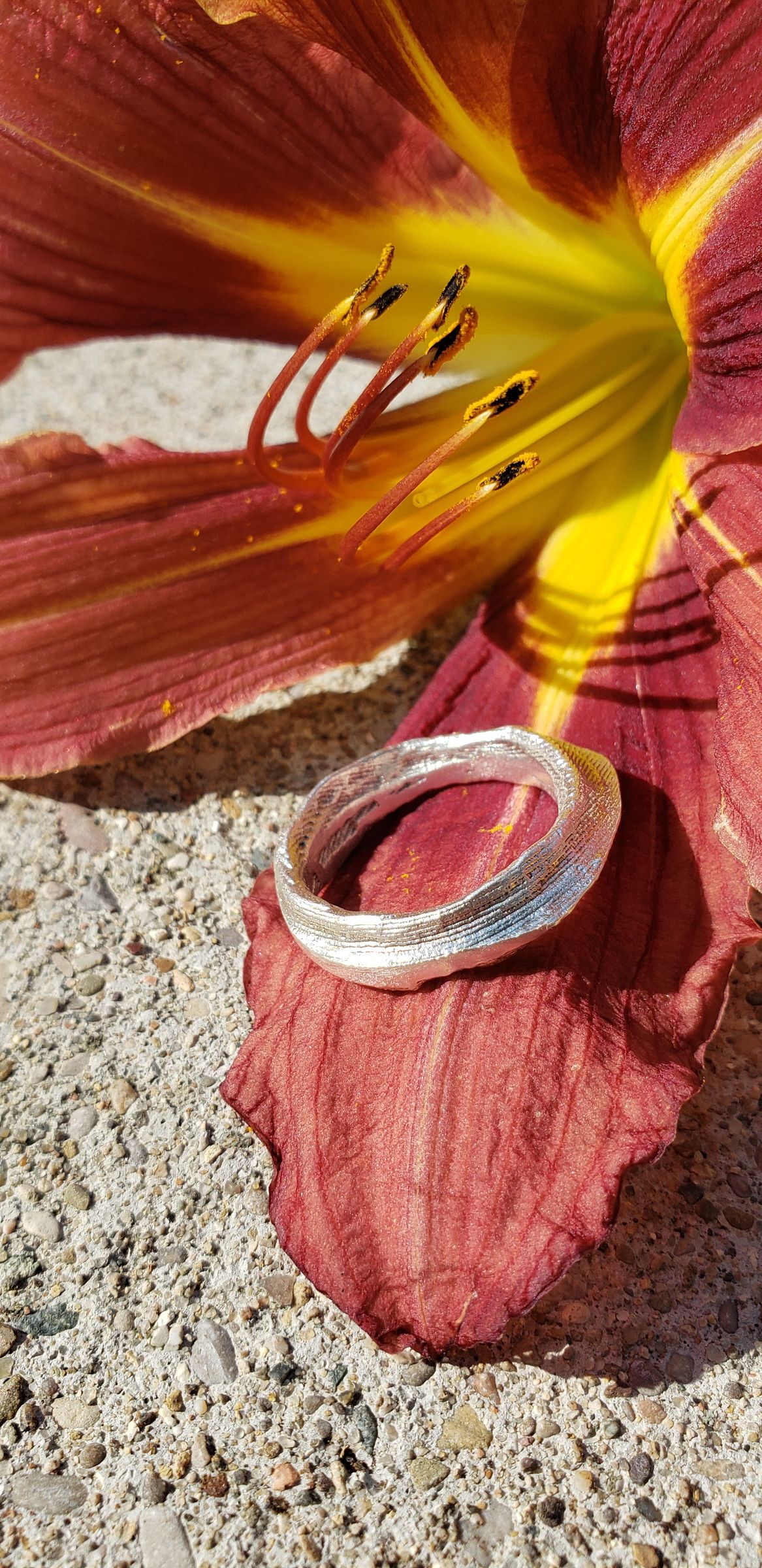 Silver Ring - Cuttlebone Cast : 13 Steps (with Pictures) - Instructables