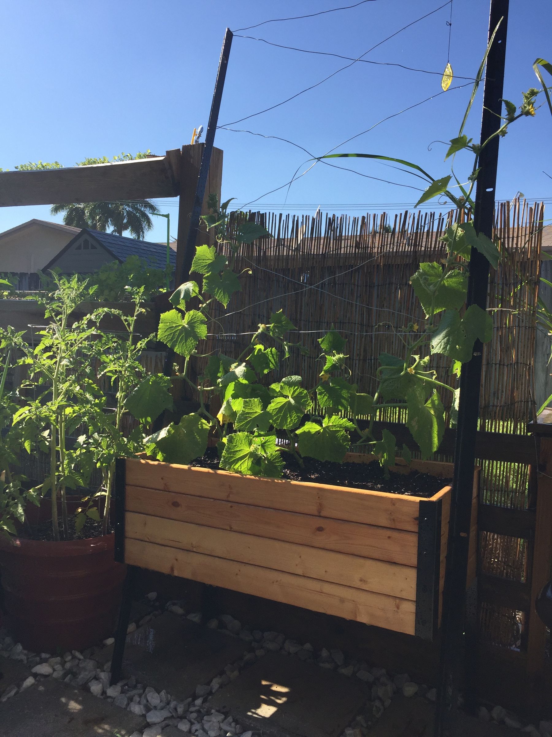 My $10 Reclaimed Climbing Vine Planter Box! : 3 Steps (with Pictures ...