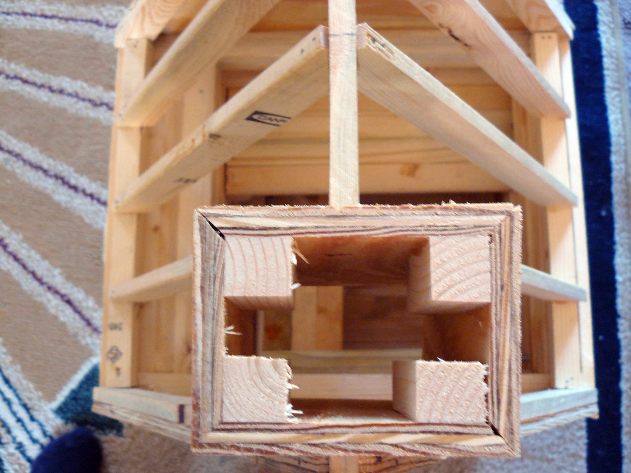 Flying Squirrel House W/Spy Cam : 4 Steps (with Pictures) - Instructables