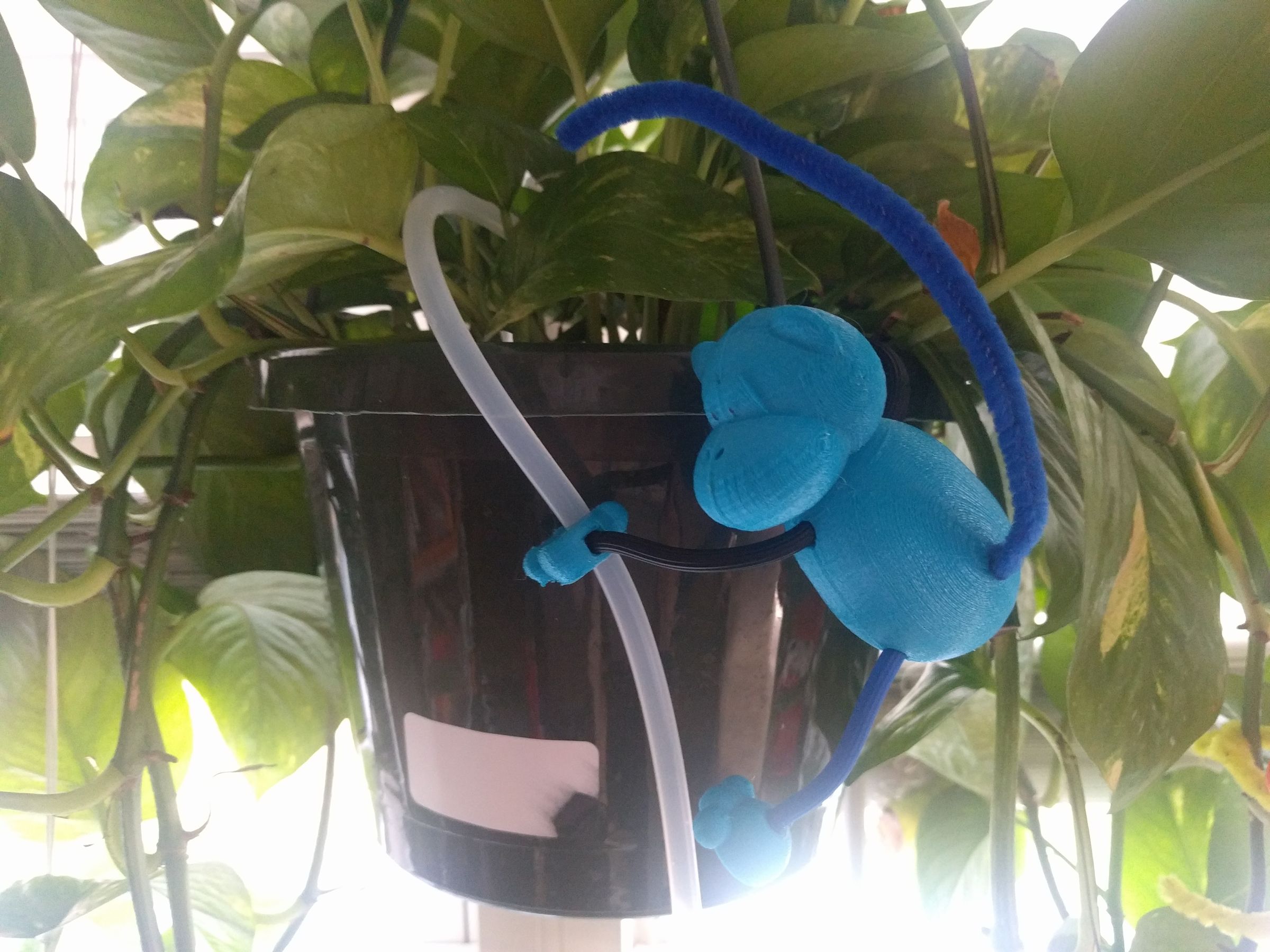Water Monkeys : 9 Steps (with Pictures) - Instructables
