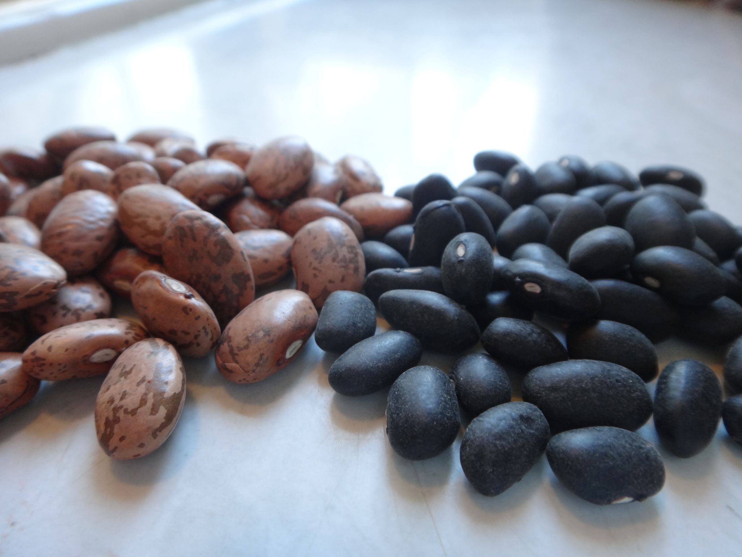 Authentic Brazilian Beans : 4 Steps (with Pictures) - Instructables