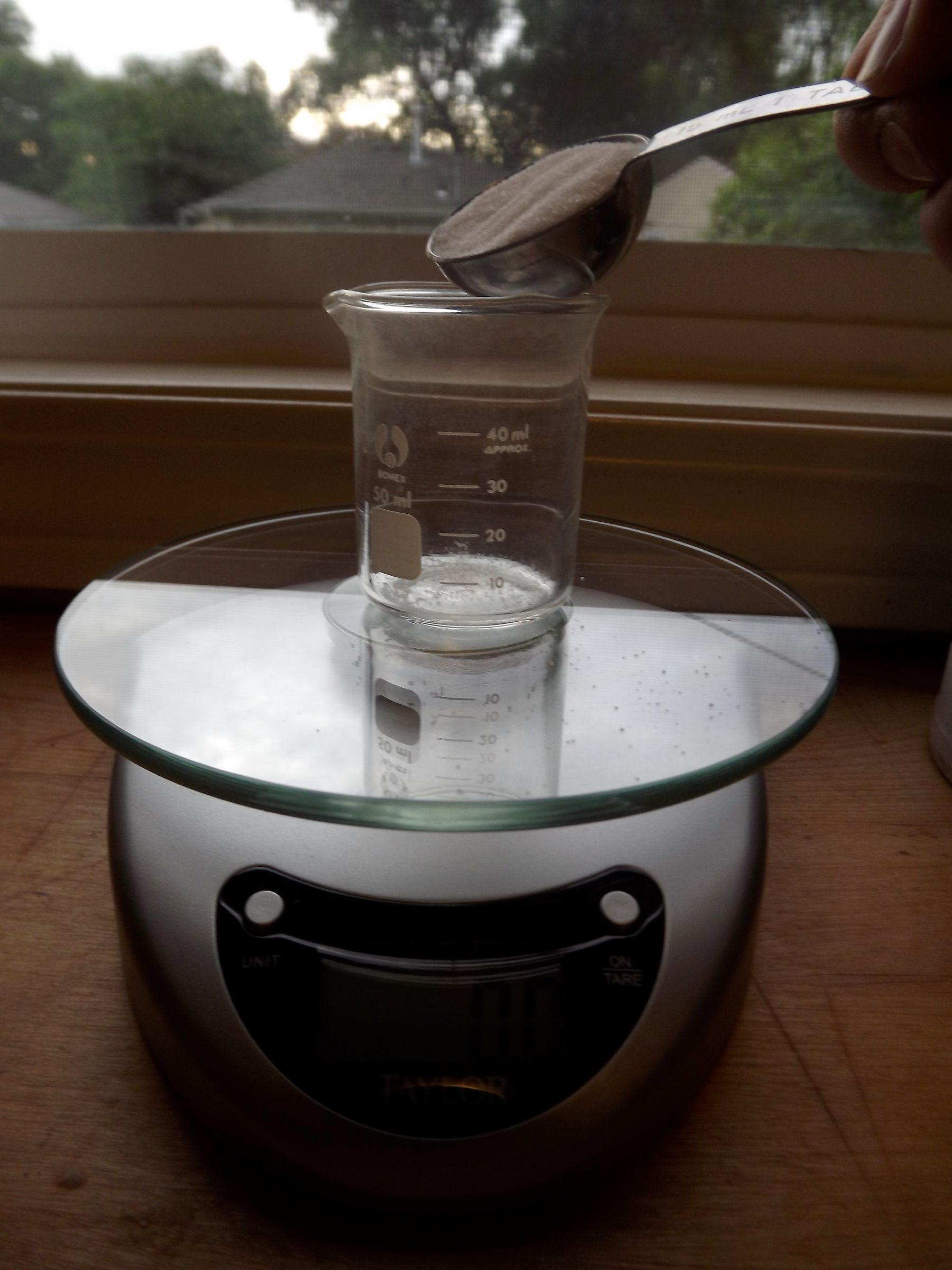 Salt Water Density Experiment : 5 Steps (with Pictures) - Instructables