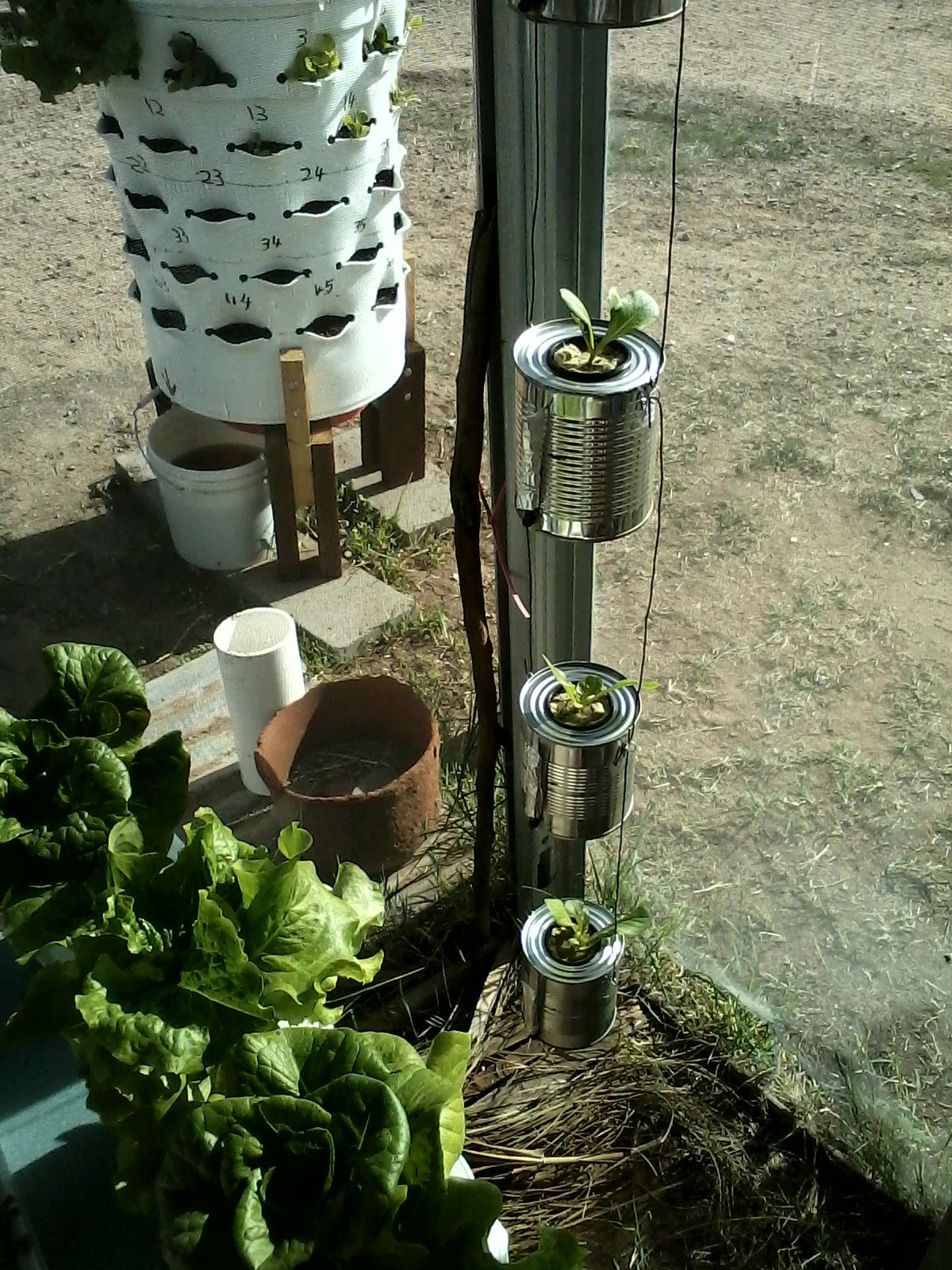 Recycled Can Plant Holder (with Pictures) - Instructables