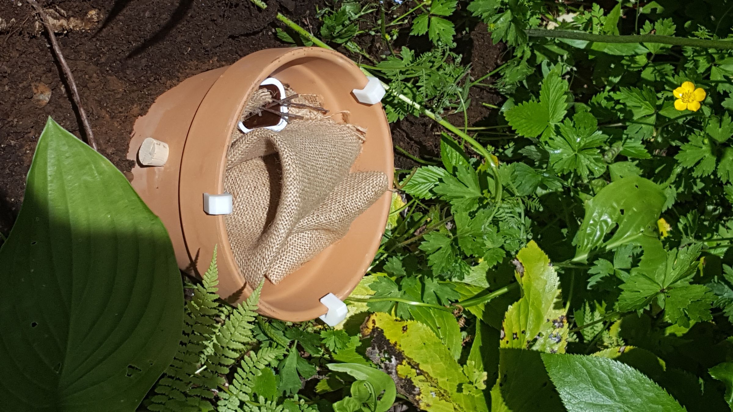 Bumble Bee Nest : 3 Steps (with Pictures) - Instructables