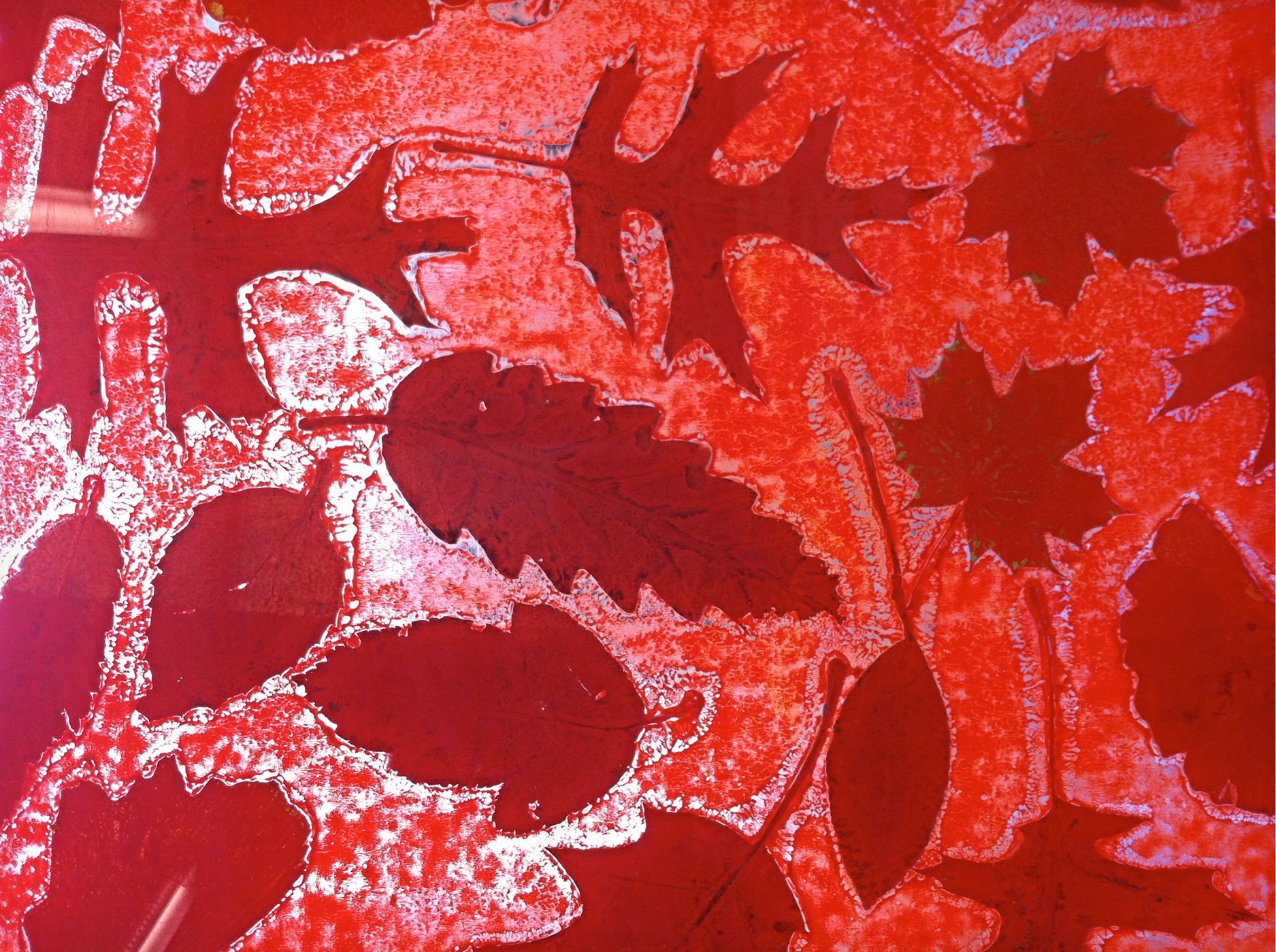 LEAF PRINTS : 18 Steps - Instructables