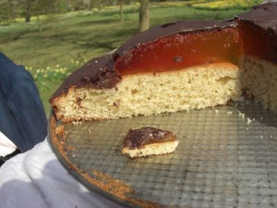 Giant Jaffa Cake : 6 Steps (with Pictures) - Instructables
