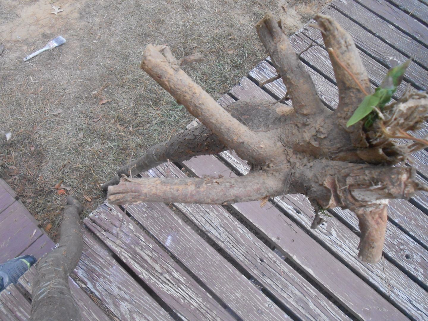 Make a REAL Wizard Staff : 11 Steps (with Pictures) - Instructables