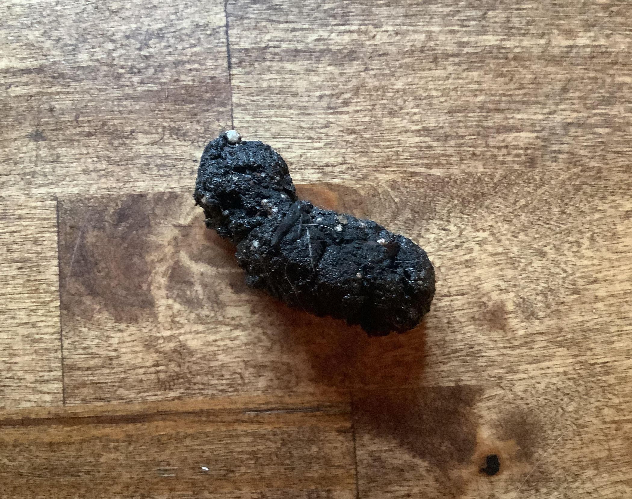 How to Make Realistic Fake Poop : 4 Steps - Instructables