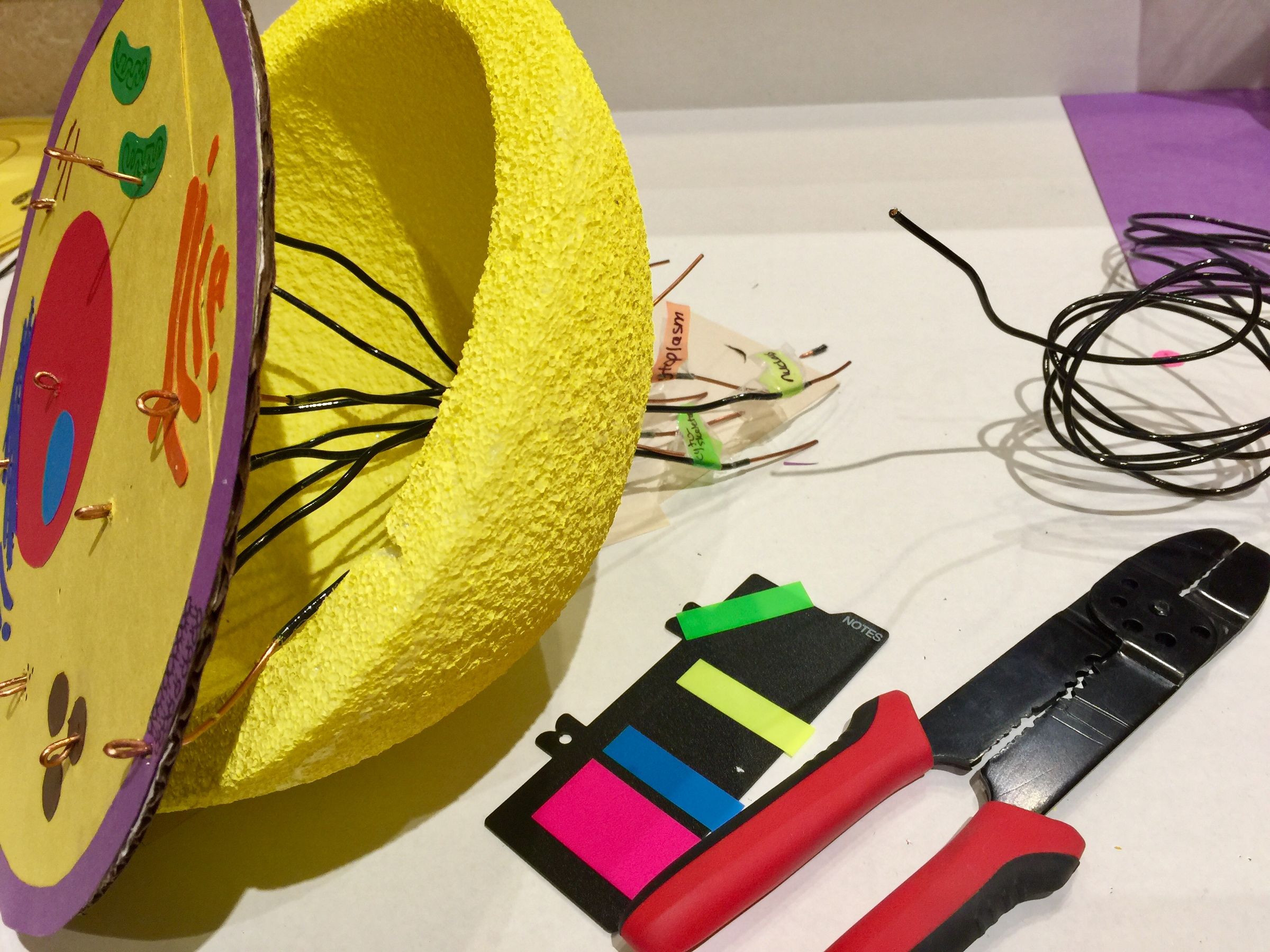 Interactive Cell Model : 28 Steps (with Pictures) - Instructables