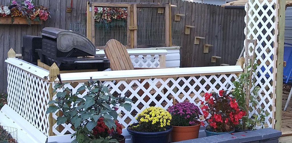 Elevated Wooden Deck (With Stairs) : 11 Steps (with Pictures ...