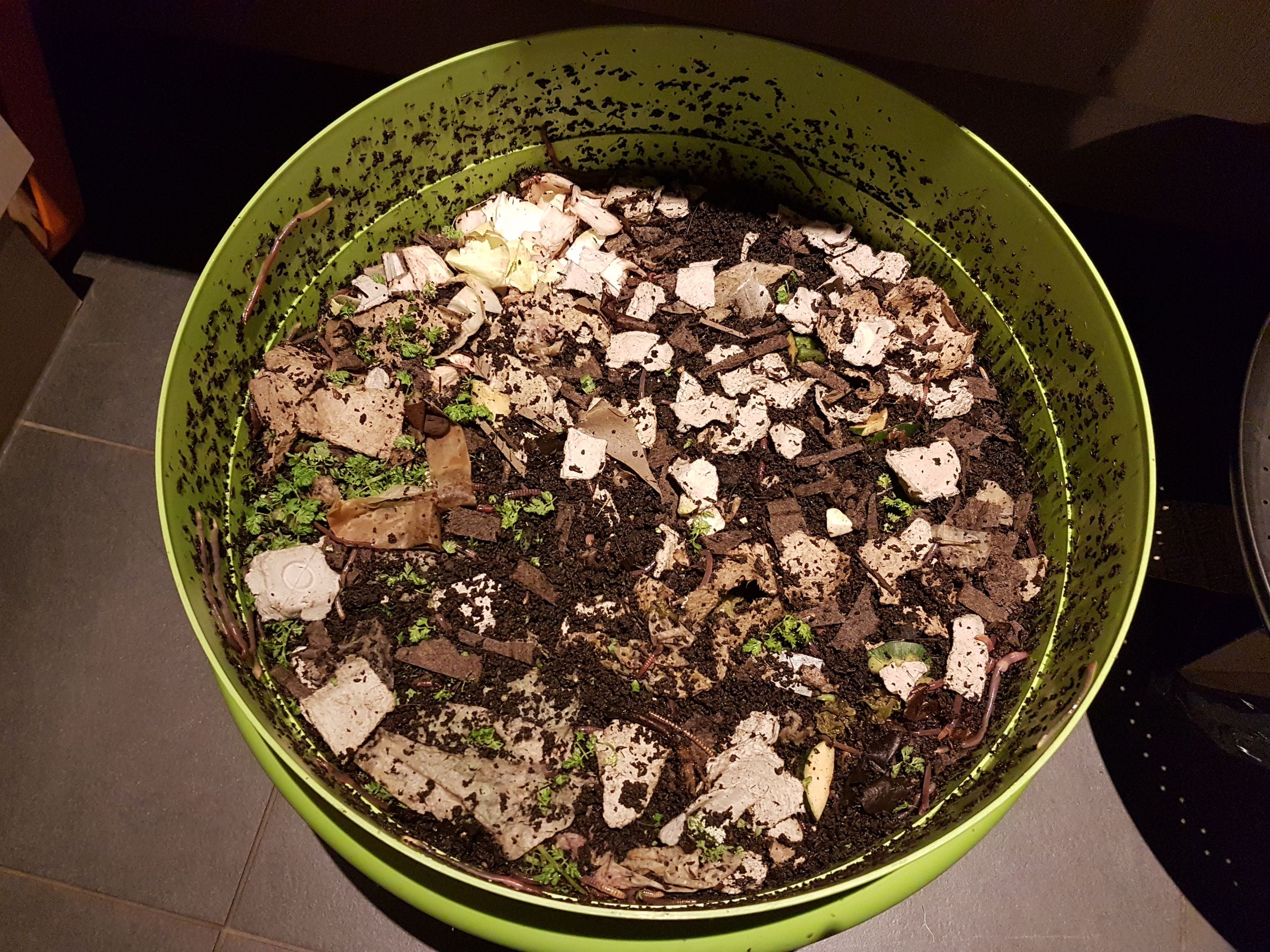 First Timer Hydroponics: the Raft System : 8 Steps (with Pictures ...