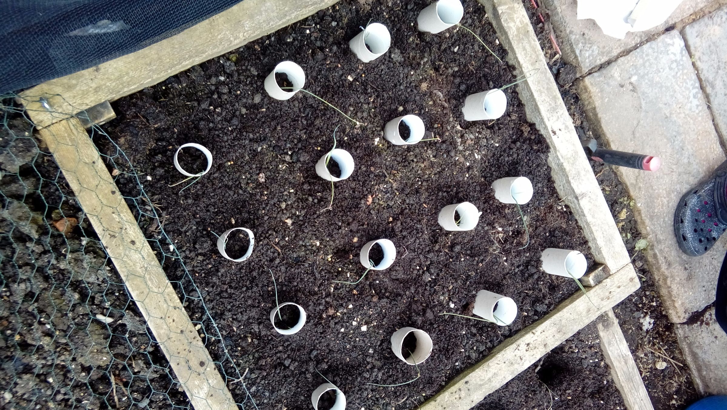 Easy Planting : 3 Steps (with Pictures) - Instructables