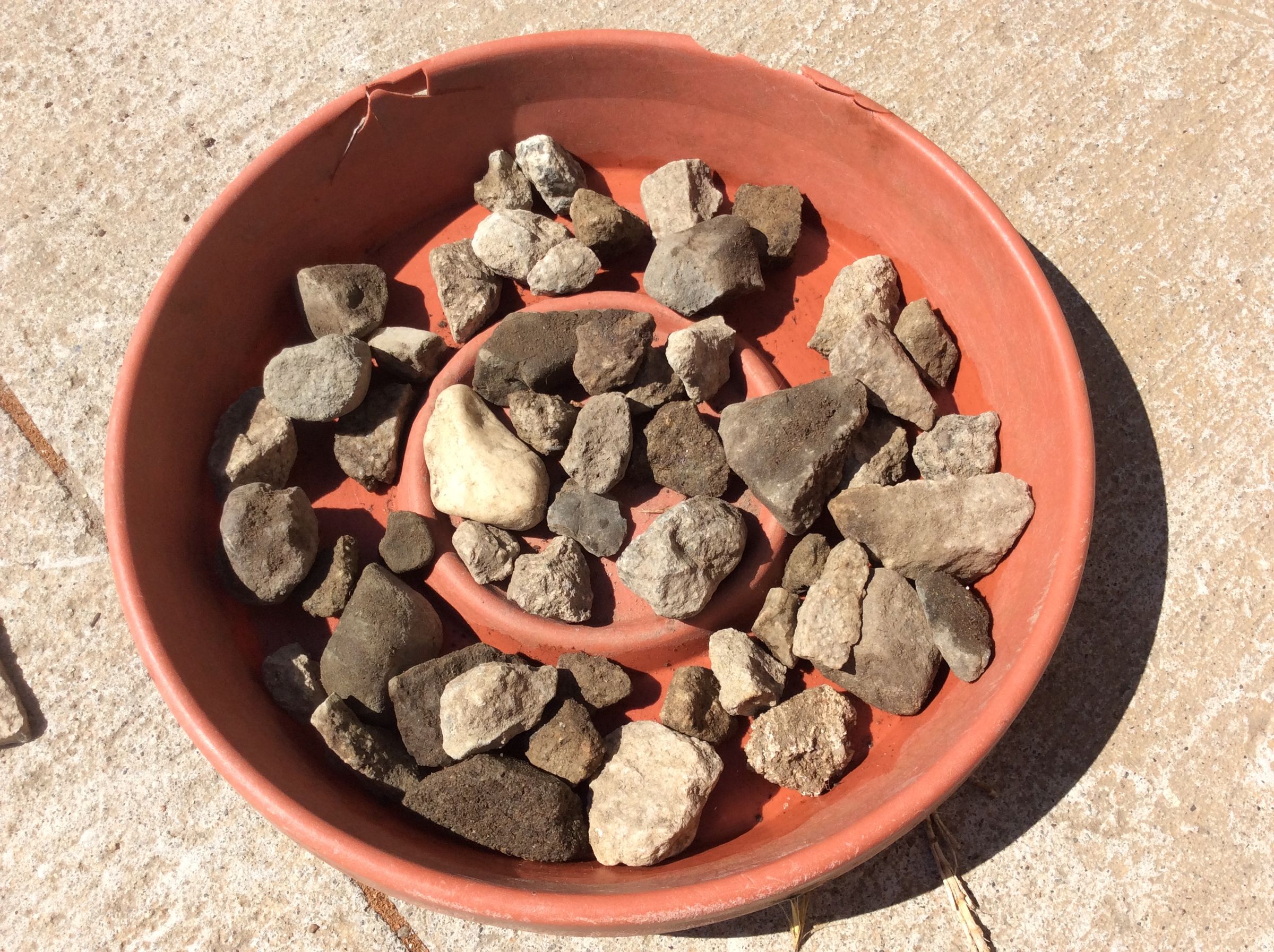 Make Your Own Bee Bath : 3 Steps - Instructables