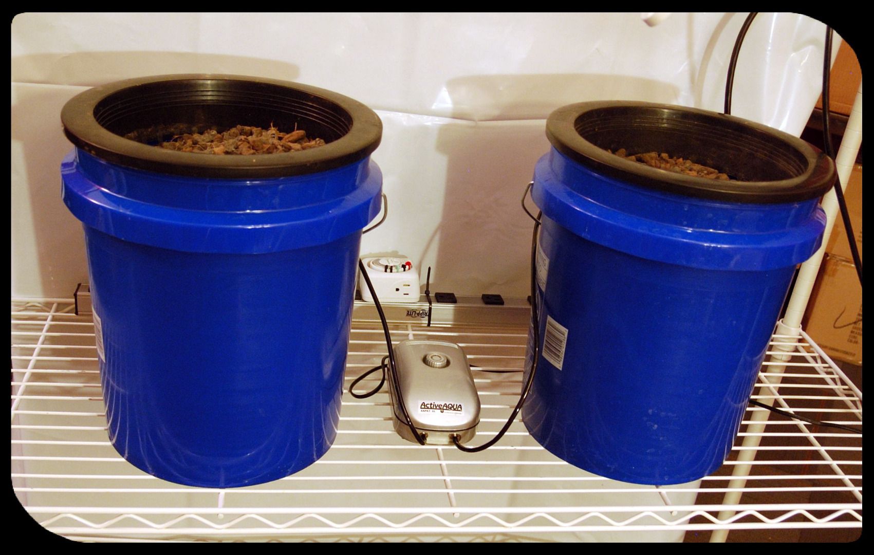 Hydroponics Setup on Wheels : 11 Steps (with Pictures) - Instructables