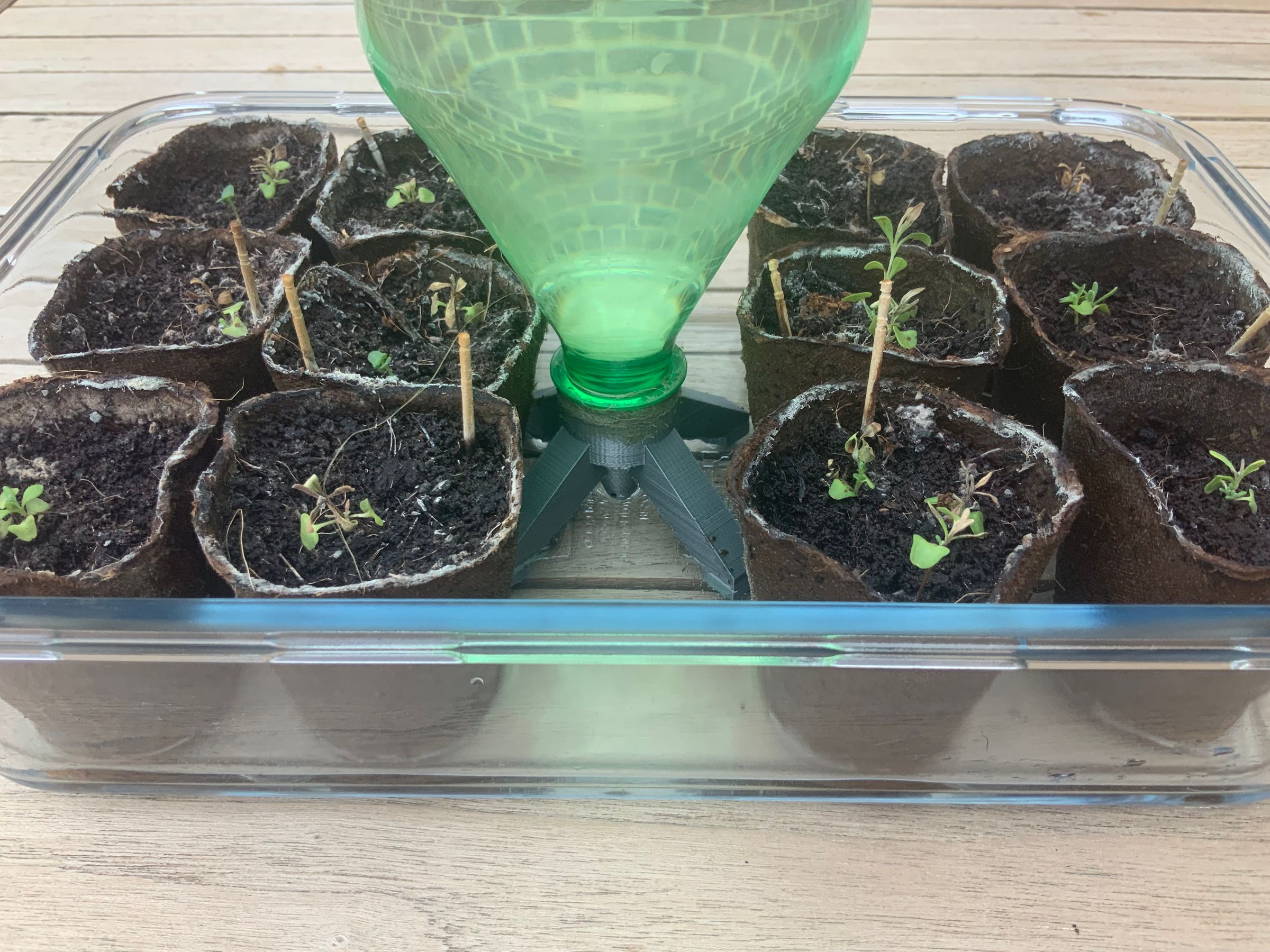 Watering Rocket for Small Plants : 3 Steps - Instructables