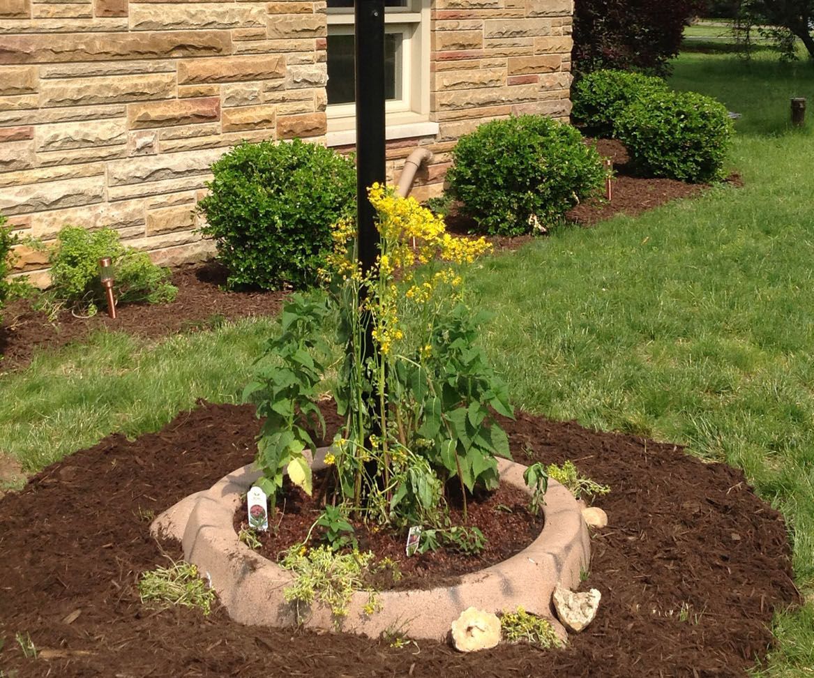 Repurposed Turtle Sandbox to Planting Ring : 5 Steps (with Pictures ...