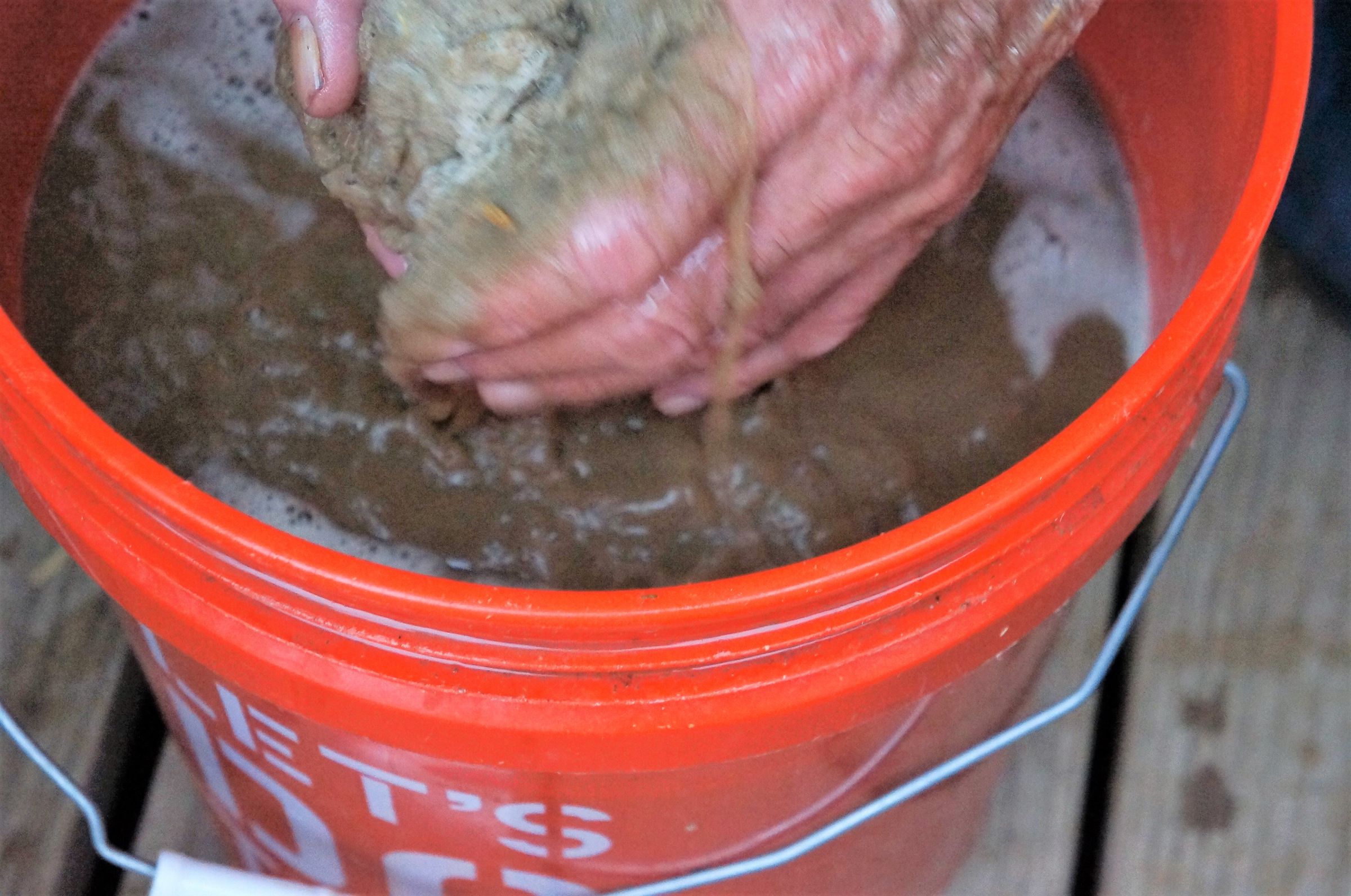 How to Process Card and Dye Raw Wool : 12 Steps (with Pictures ...