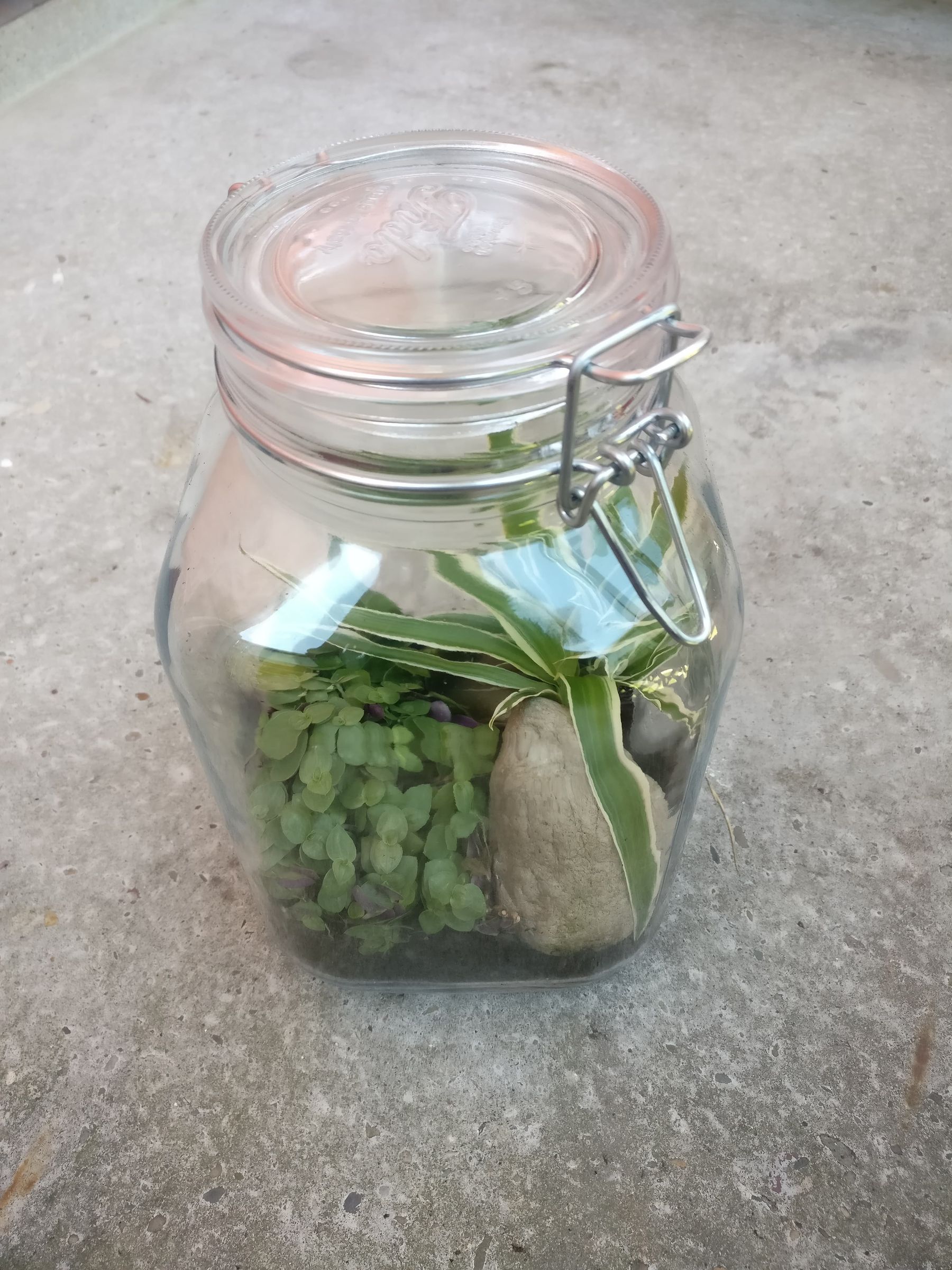 Do It Your-self Sustaining Ecosystem- : 6 Steps (with Pictures ...