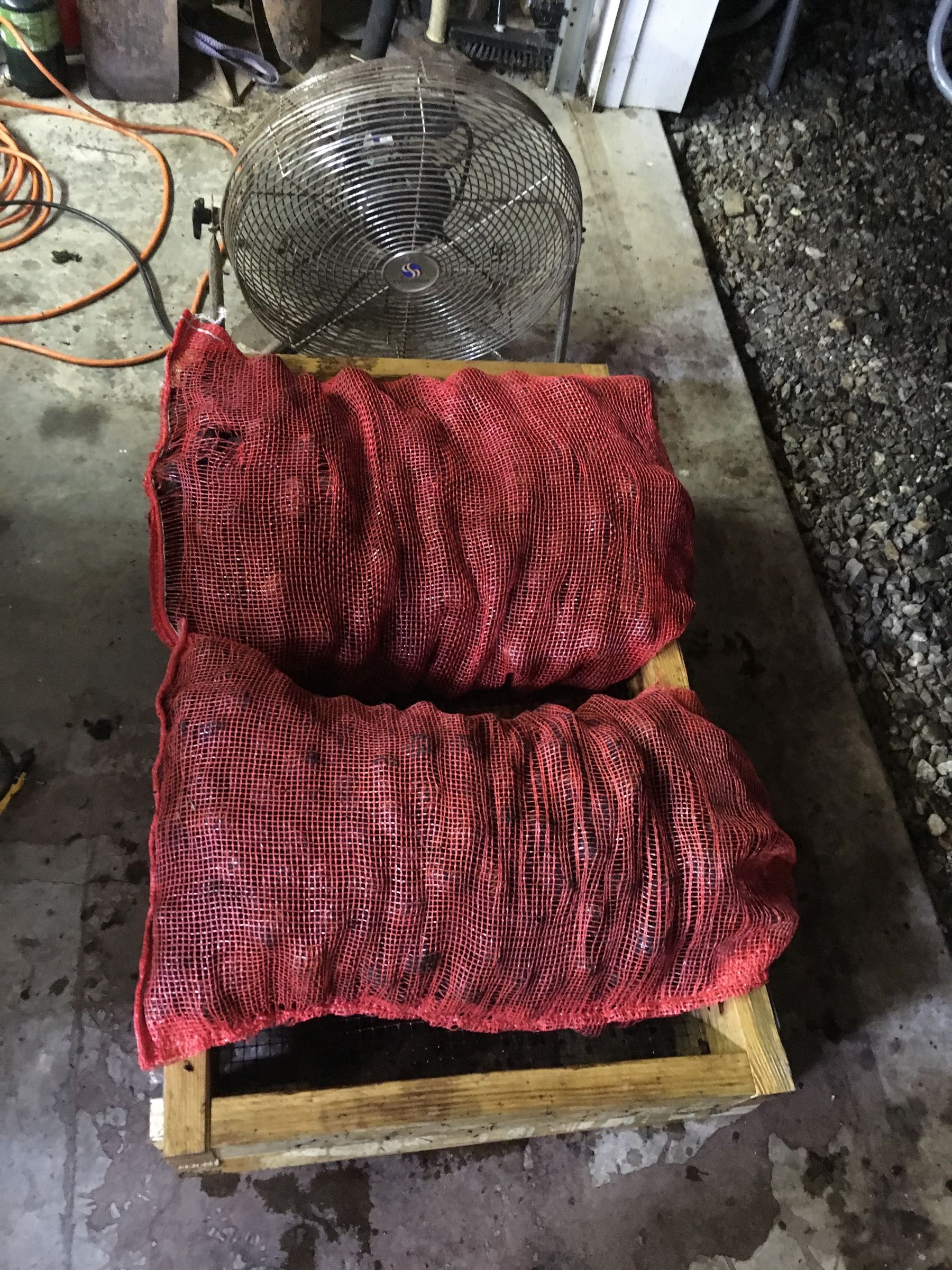 Harvesting and Processing Black Walnuts : 13 Steps - Instructables