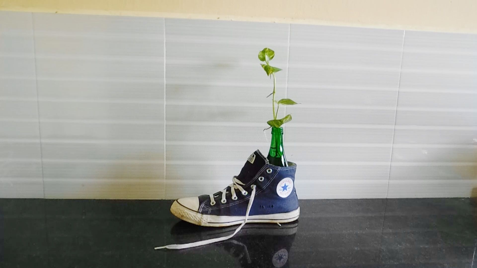 Indoor Planting Setup Using Your Old Shoe : 4 Steps - Instructables