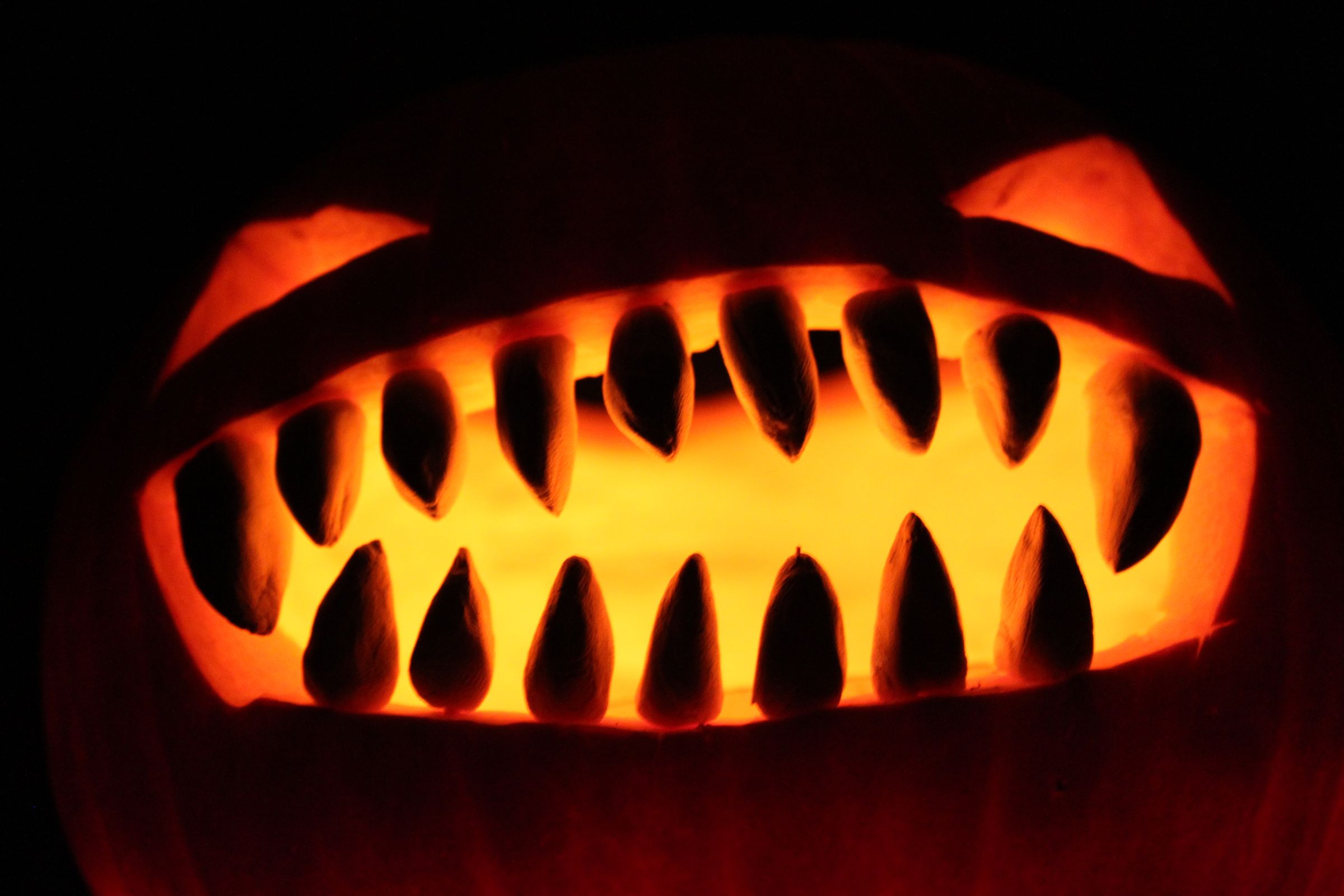 Smokin' Pumpkin : 7 Steps (with Pictures) - Instructables