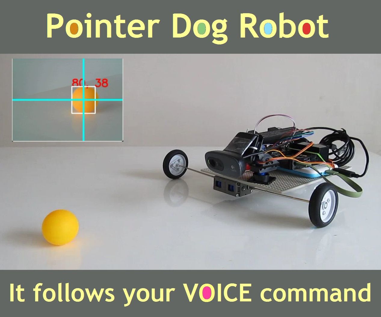 Pointer Dog Robot With RPi and Arduino : 16 Steps (with Pictures) - Instructables