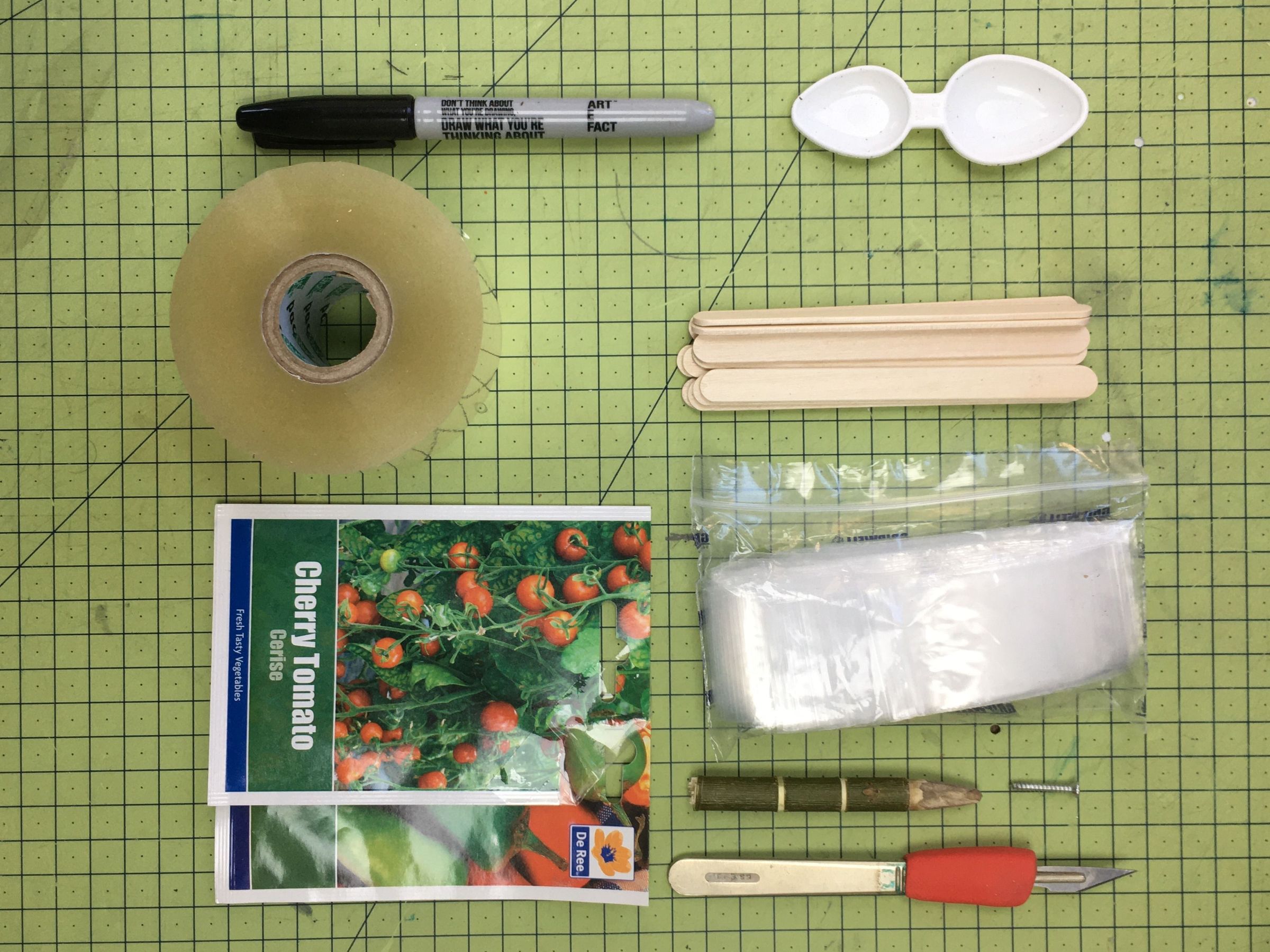 Indoor Seed Propagator - From Recycled Fruit & Veg Trays and Soda Cans ...