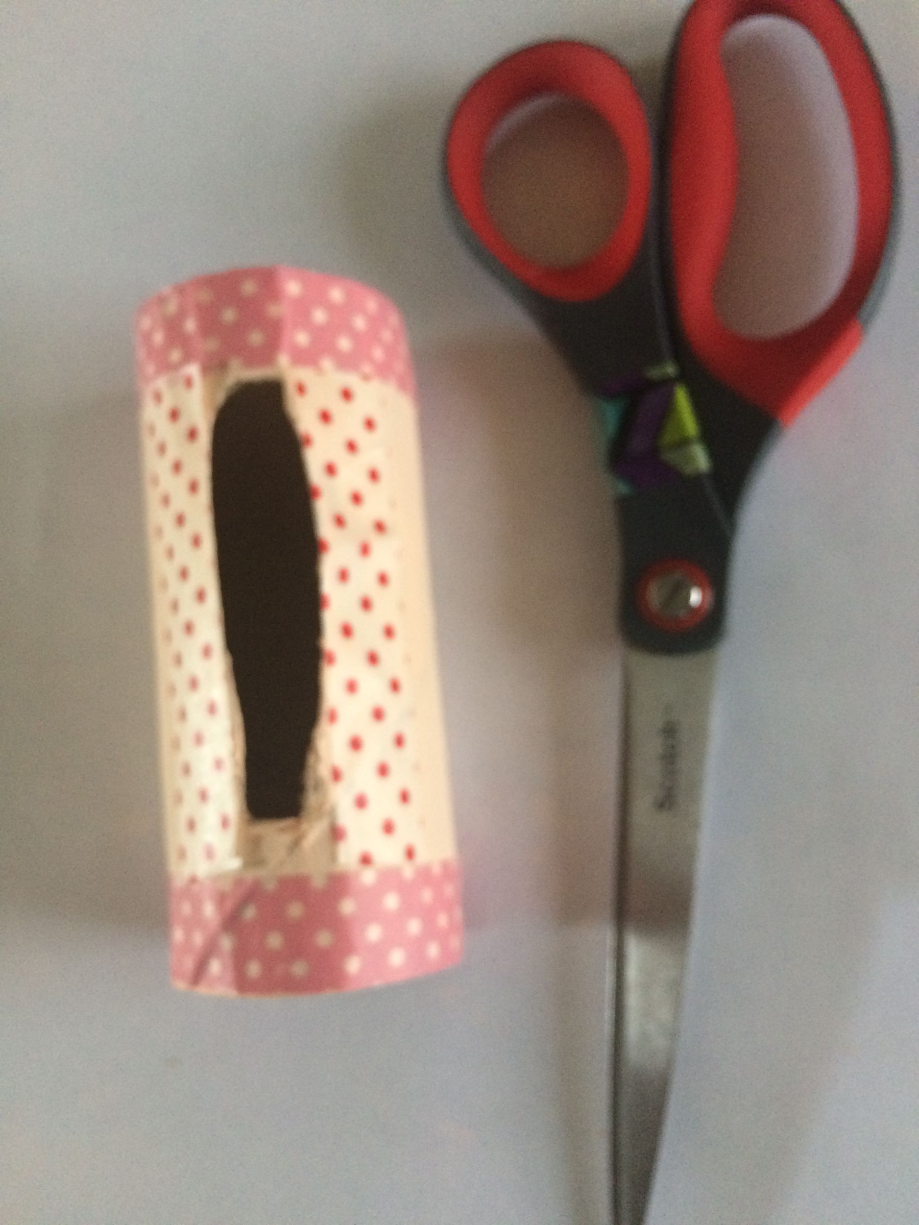 Toilet Paper Roll Speaker and Phone Holder : 6 Steps - Instructables