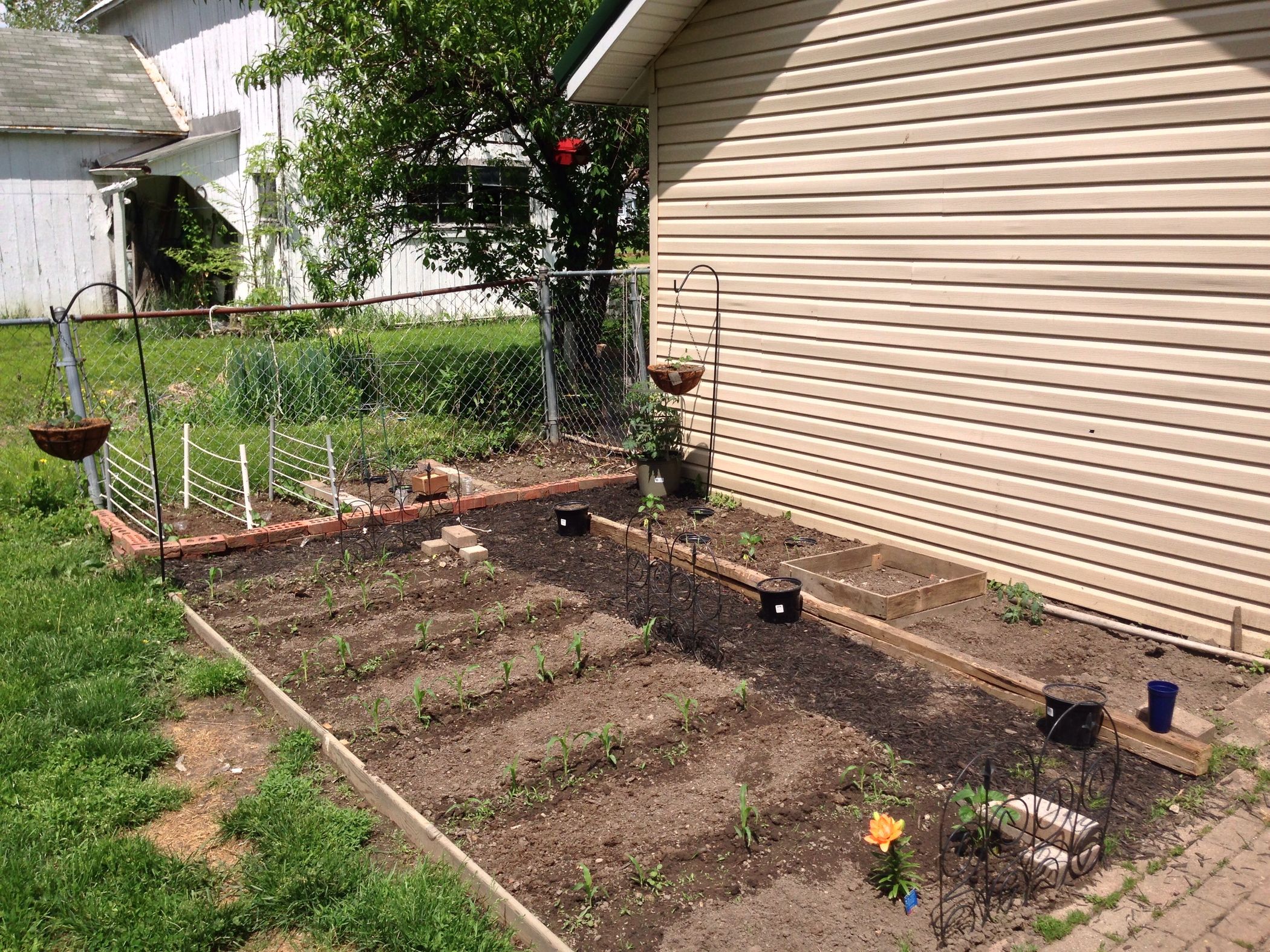 Backyard Garden : 3 Steps - Instructables