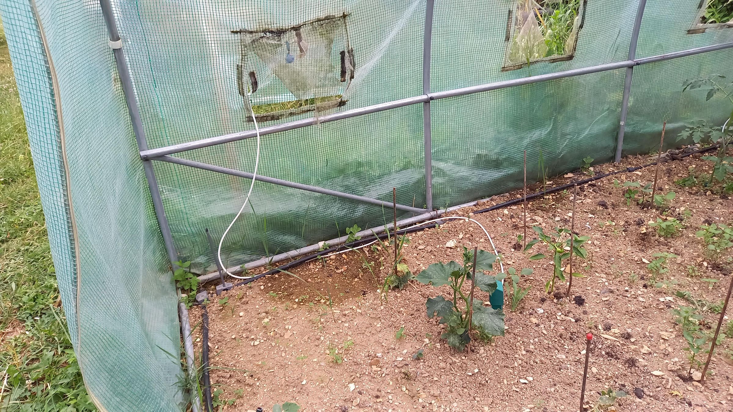 Connected Automatic Garden Watering System : 8 Steps (with Pictures ...