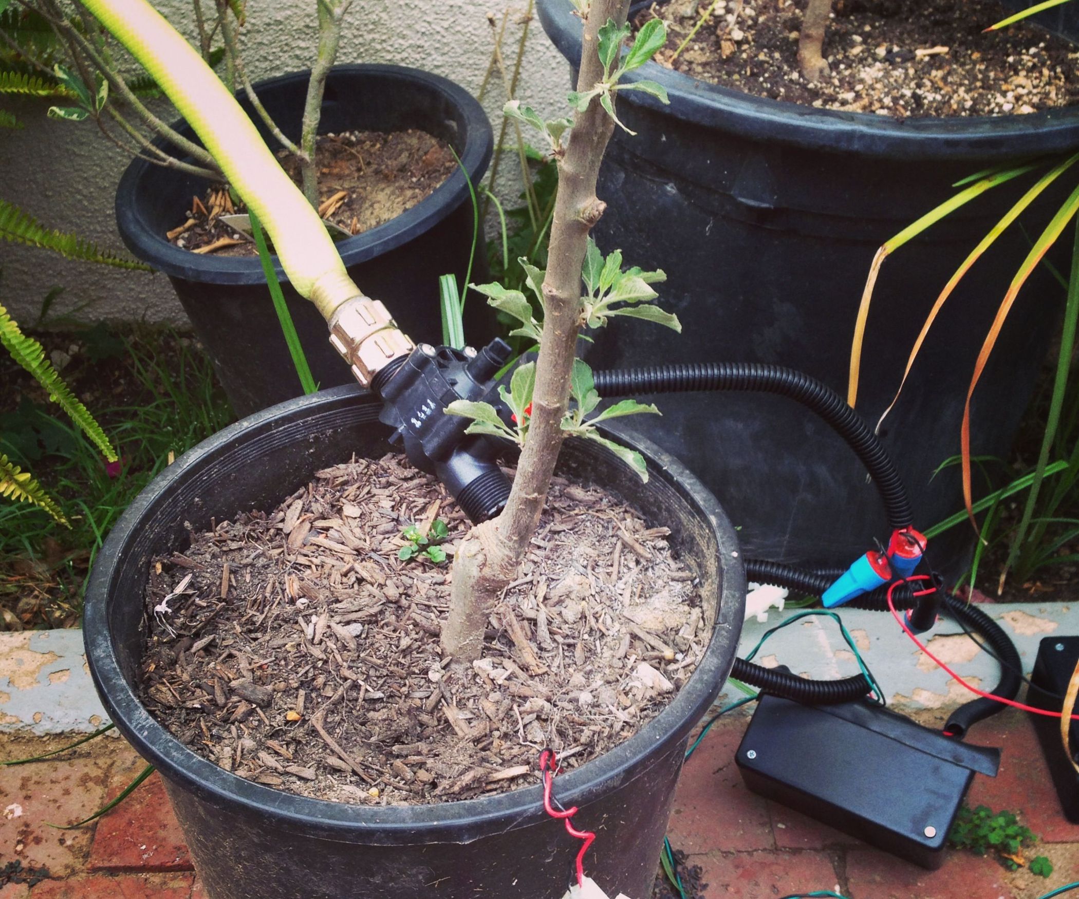 Raspberry Pi Irrigation Controller : 9 Steps (with Pictures ...