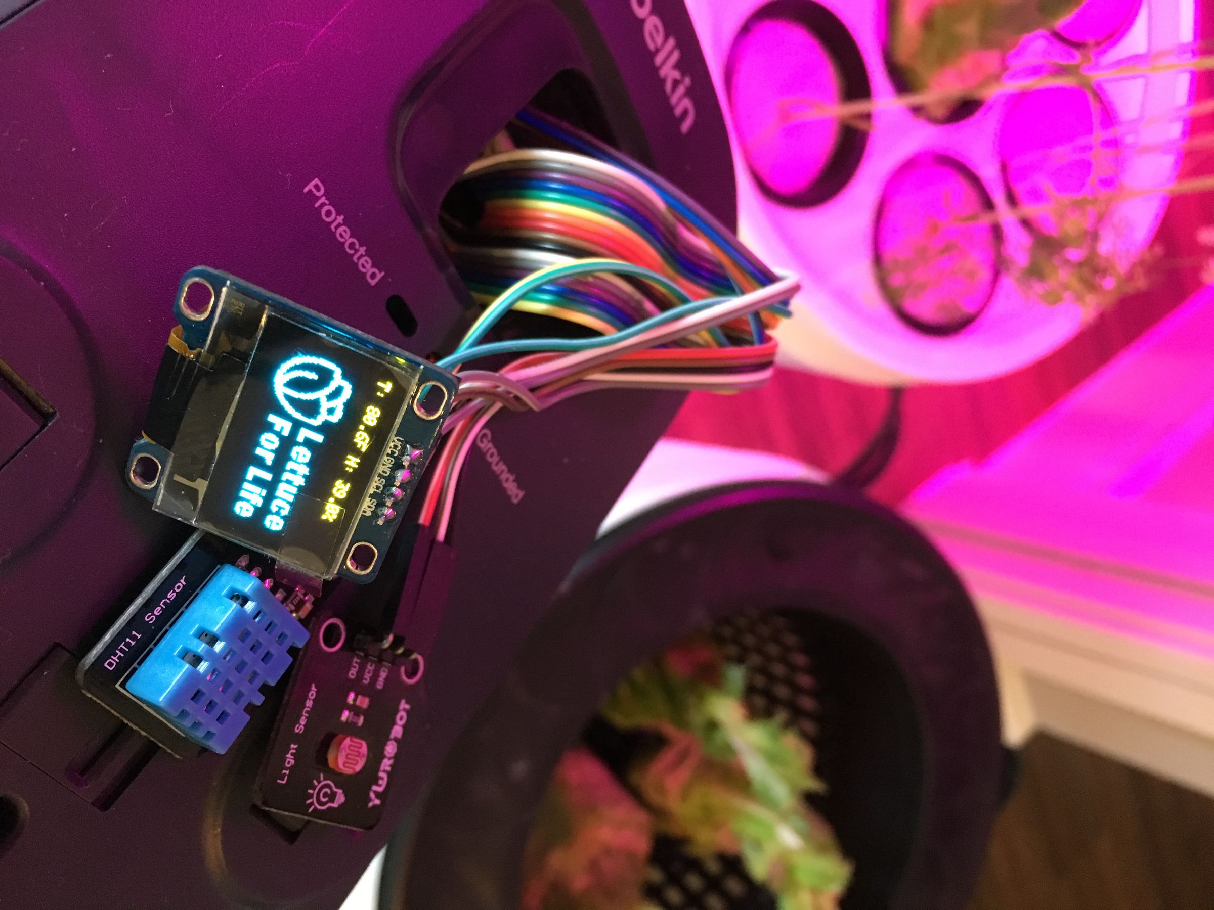Lettuce for Life - Arduino 101 Based Automated Controller for ...